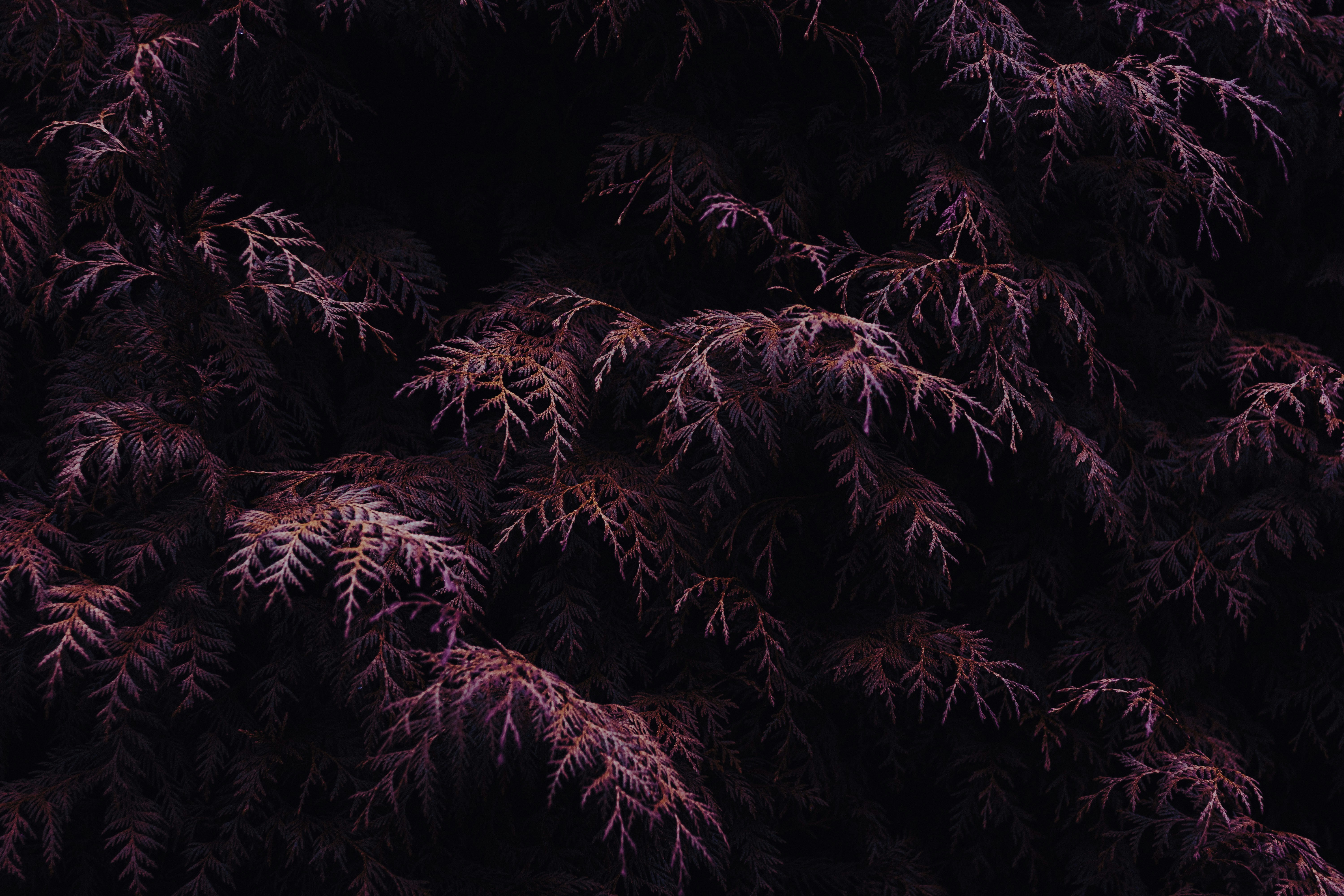 Photo by Aedrian Salazar