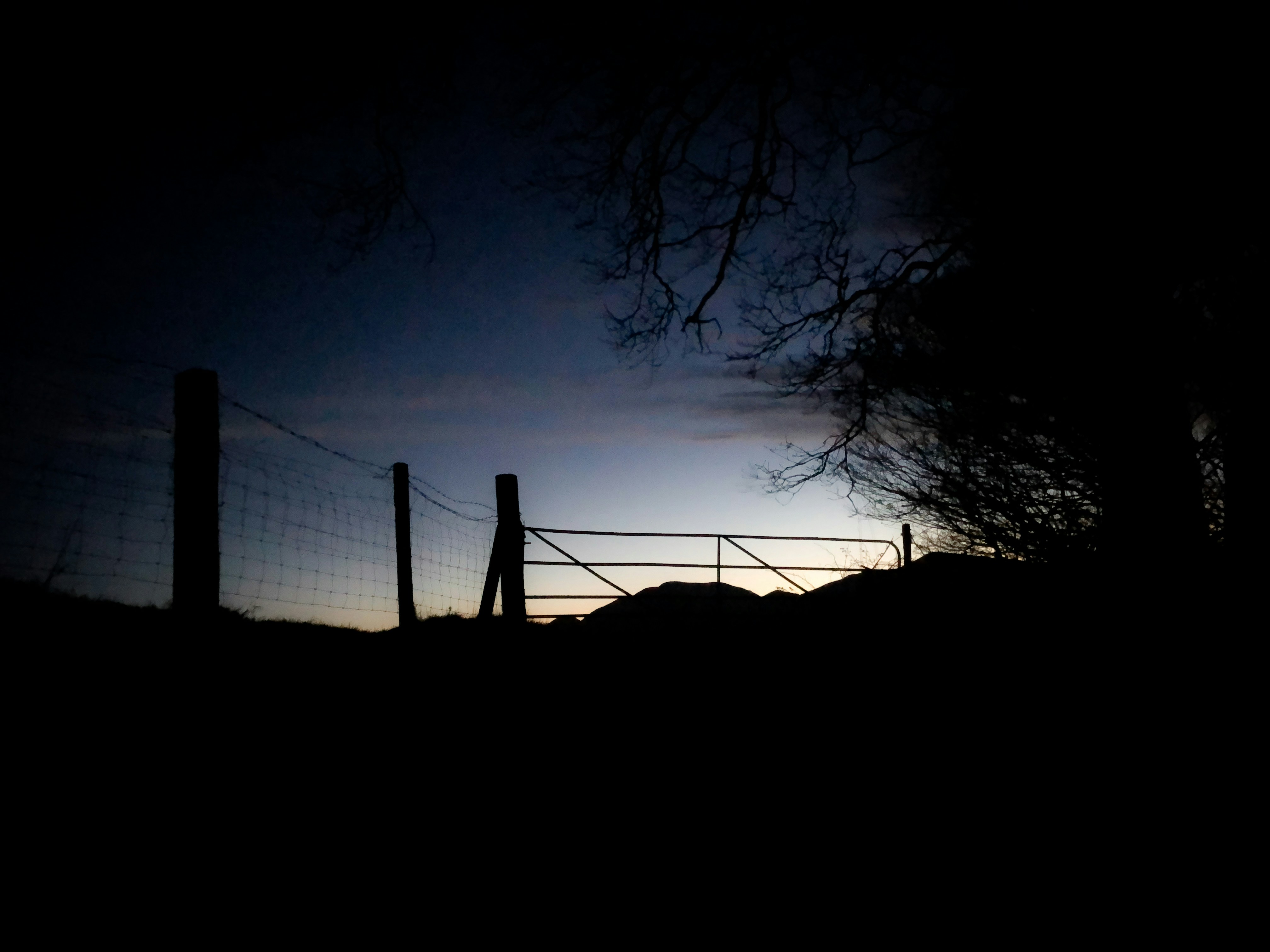 Gate at Dusk: A Quiet Horizon Framed by Fence Posts and Bare Branches