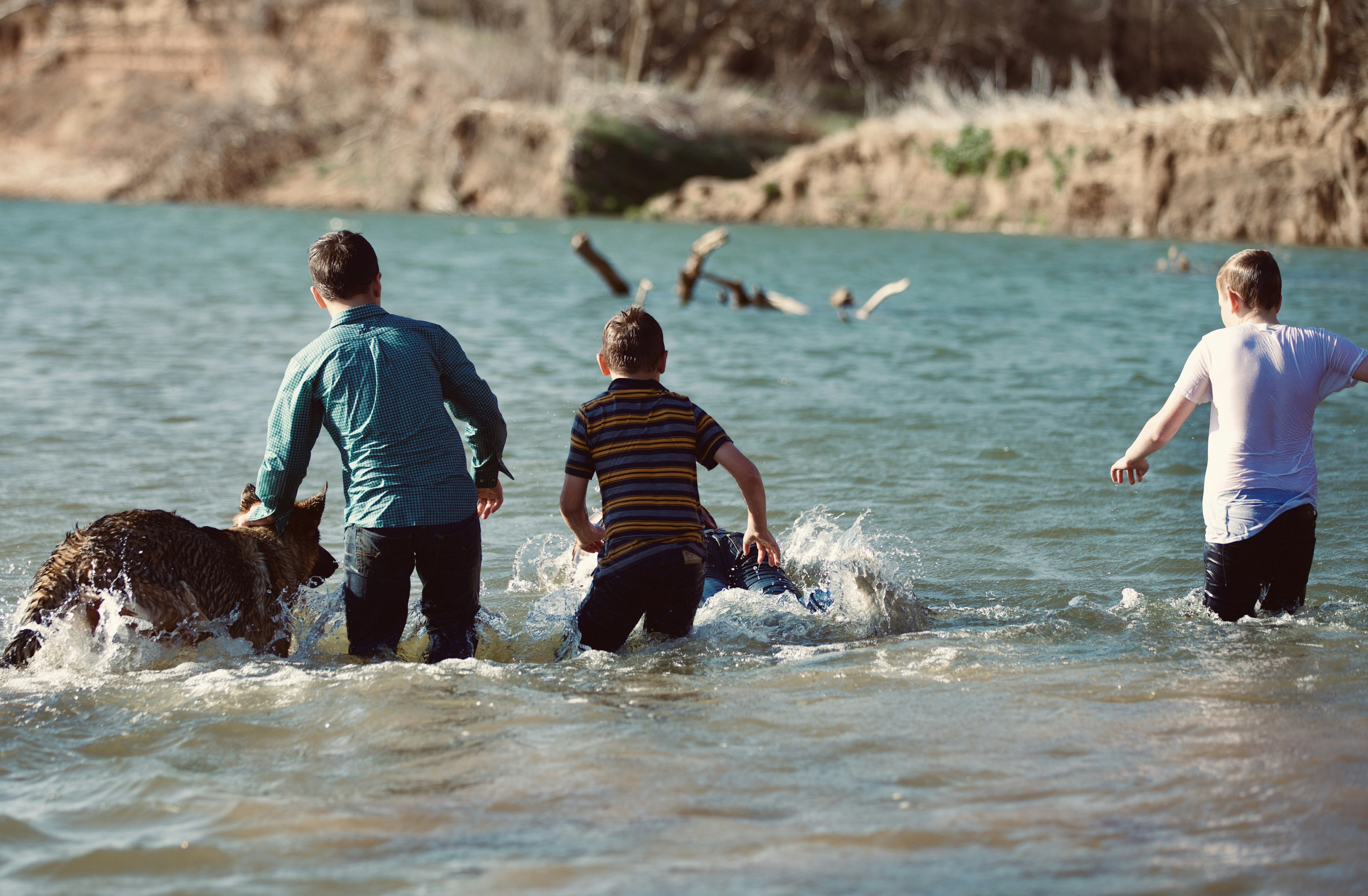 A group of people wading in the water with a dog photo – Free Beach ...