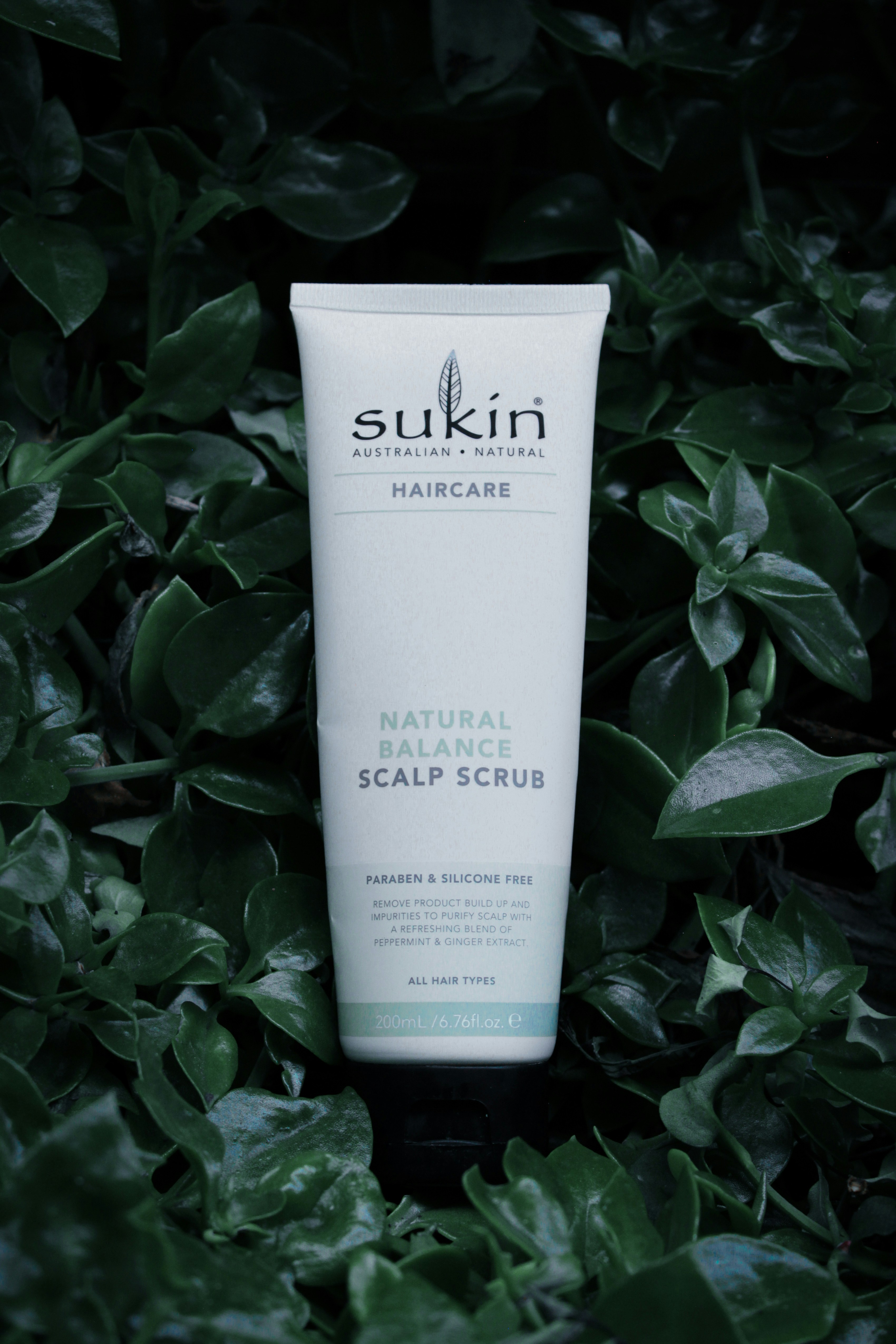 A tube of sukin natural scalp scrub sitting in a bush photo – Free Grey ...