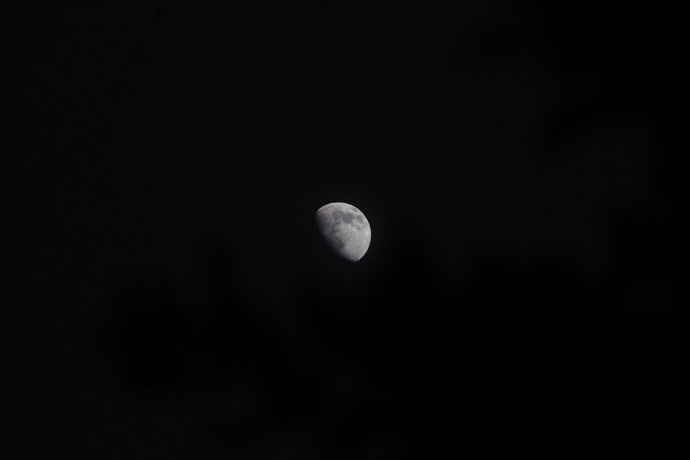 Foto Una luna llena se ve en el cielo oscuro – Imagen Gris gratis en ... Foto Una luna llena se ve en el cielo oscuro – Imagen Gris gratis en ...