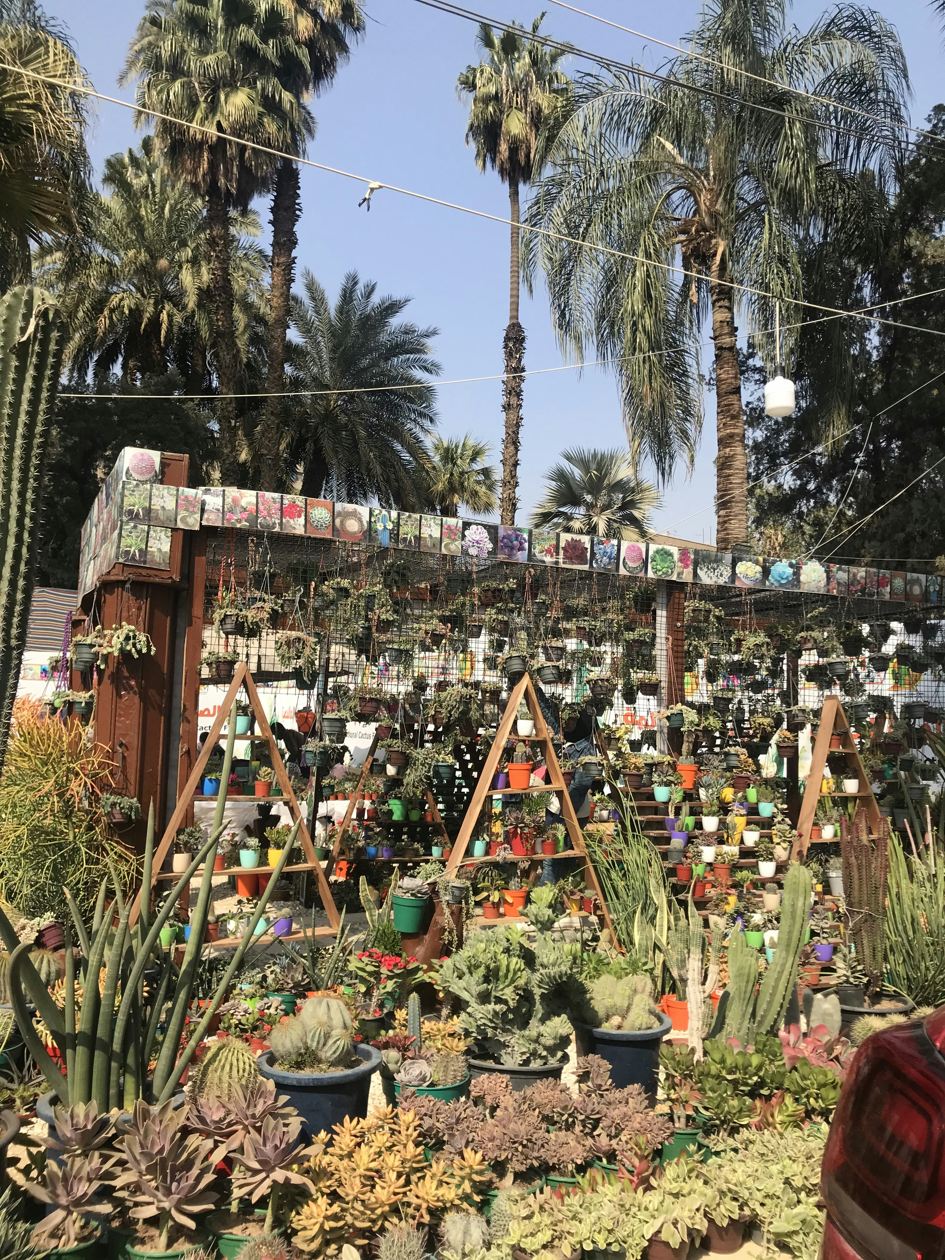 Nour Ibrahim (@nurkai) | Komunitas Foto Unsplash