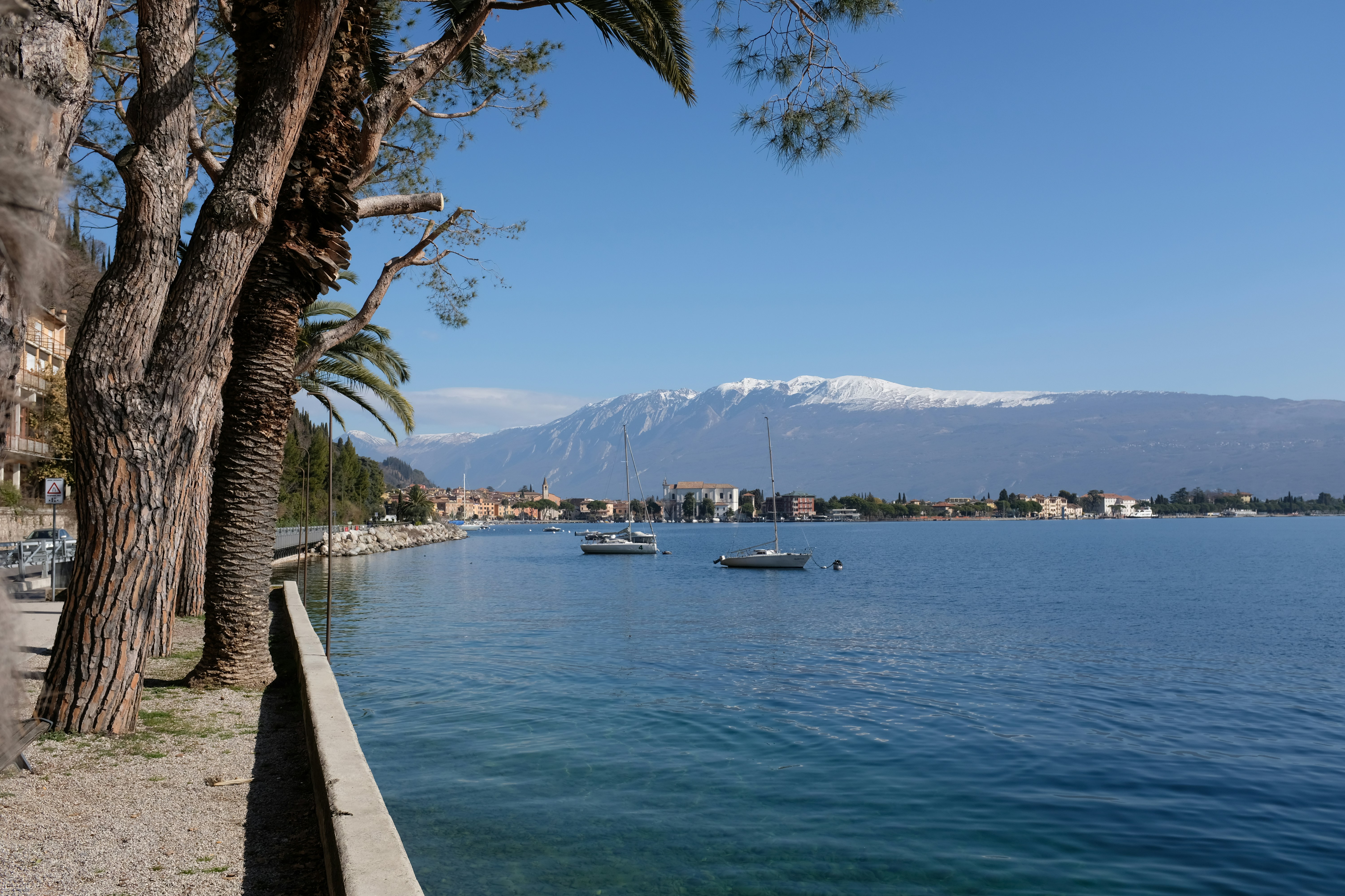 Serenity by the Lakeside: A Glimpse of Tranquil Waters