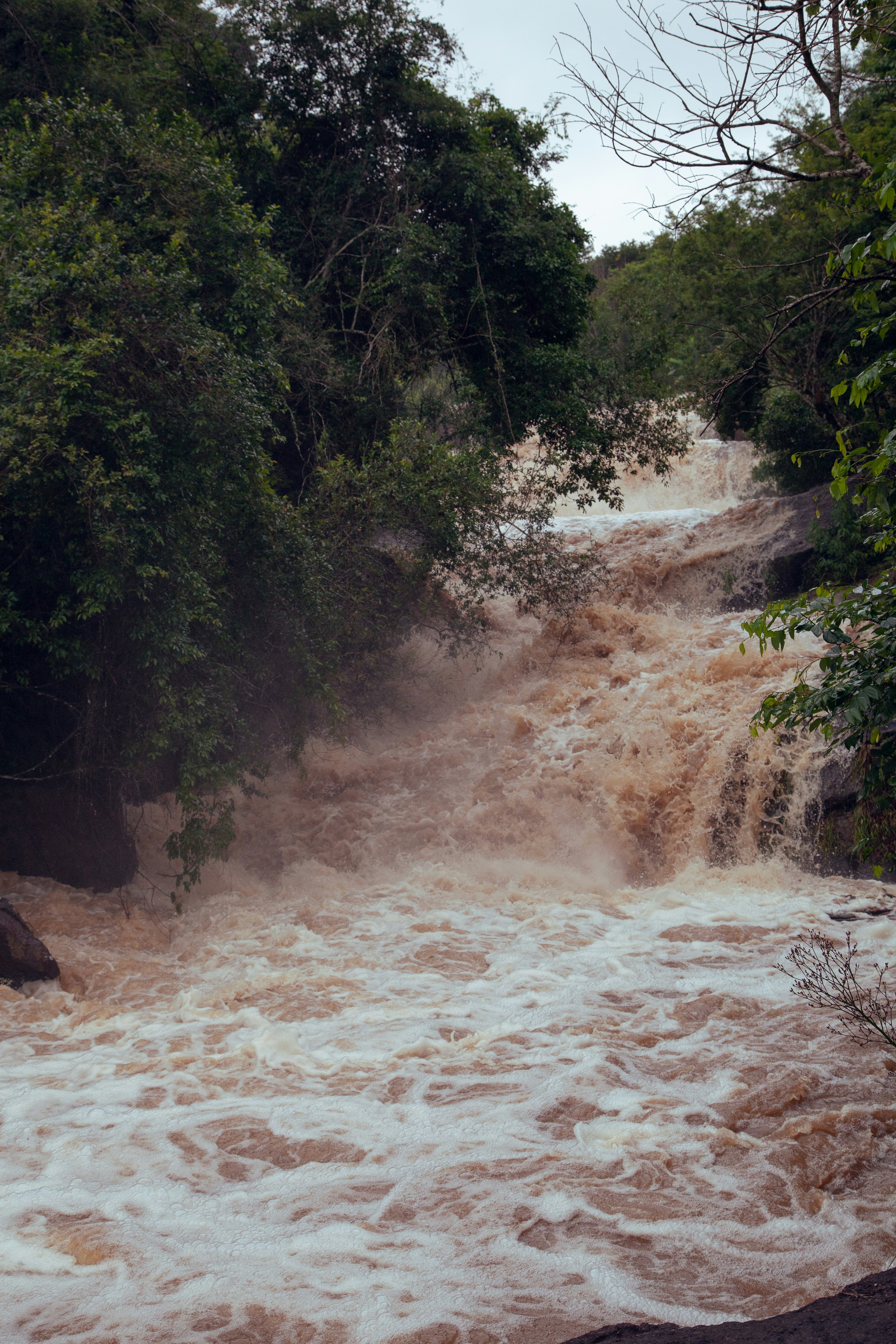 Raging Cascade Surrounded by Jungle, Veiled in Mist