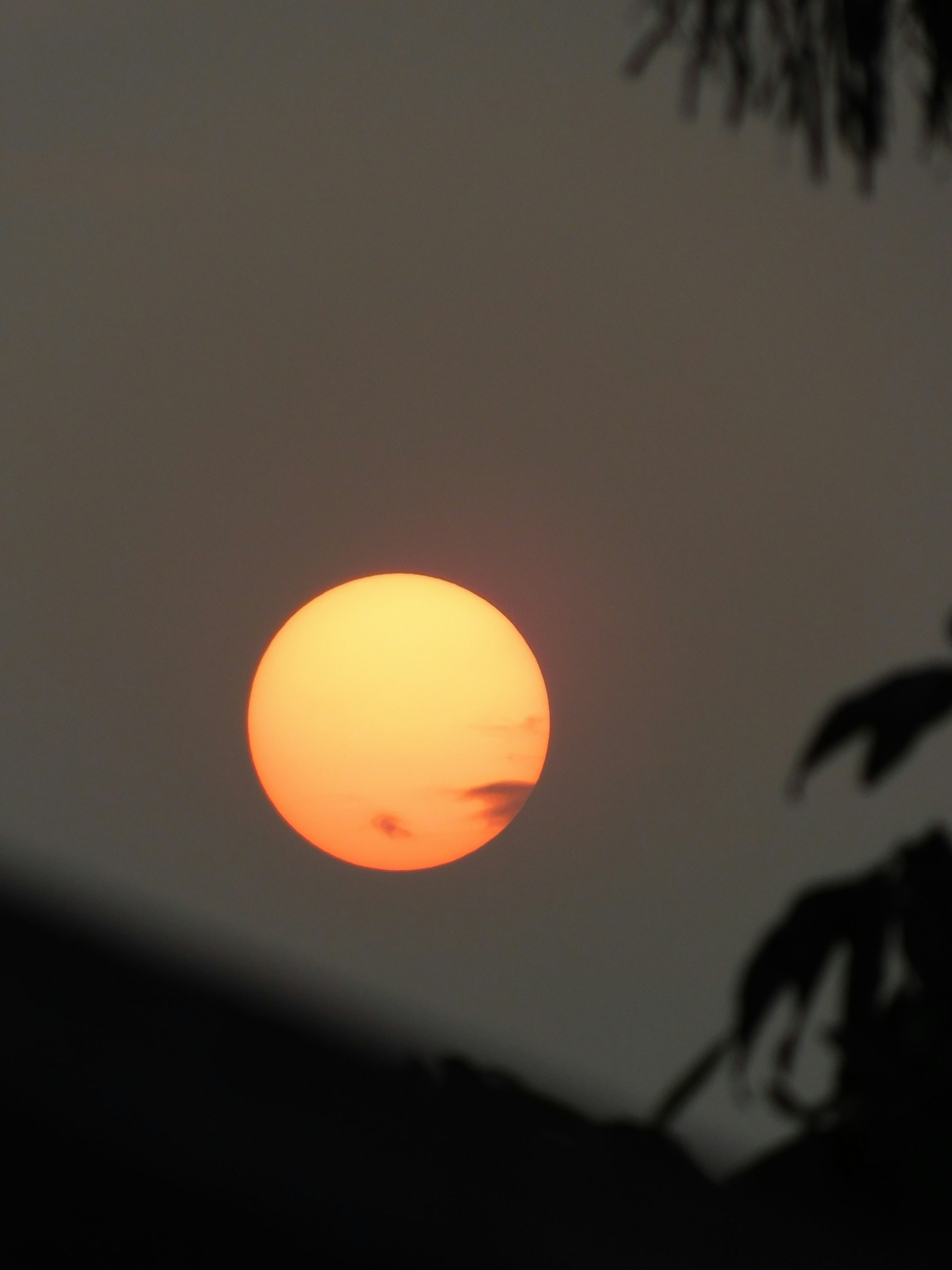 Vibrant orange sun partially obscured by clouds, set against a muted sky. Silhouetted foliage frames the scene.