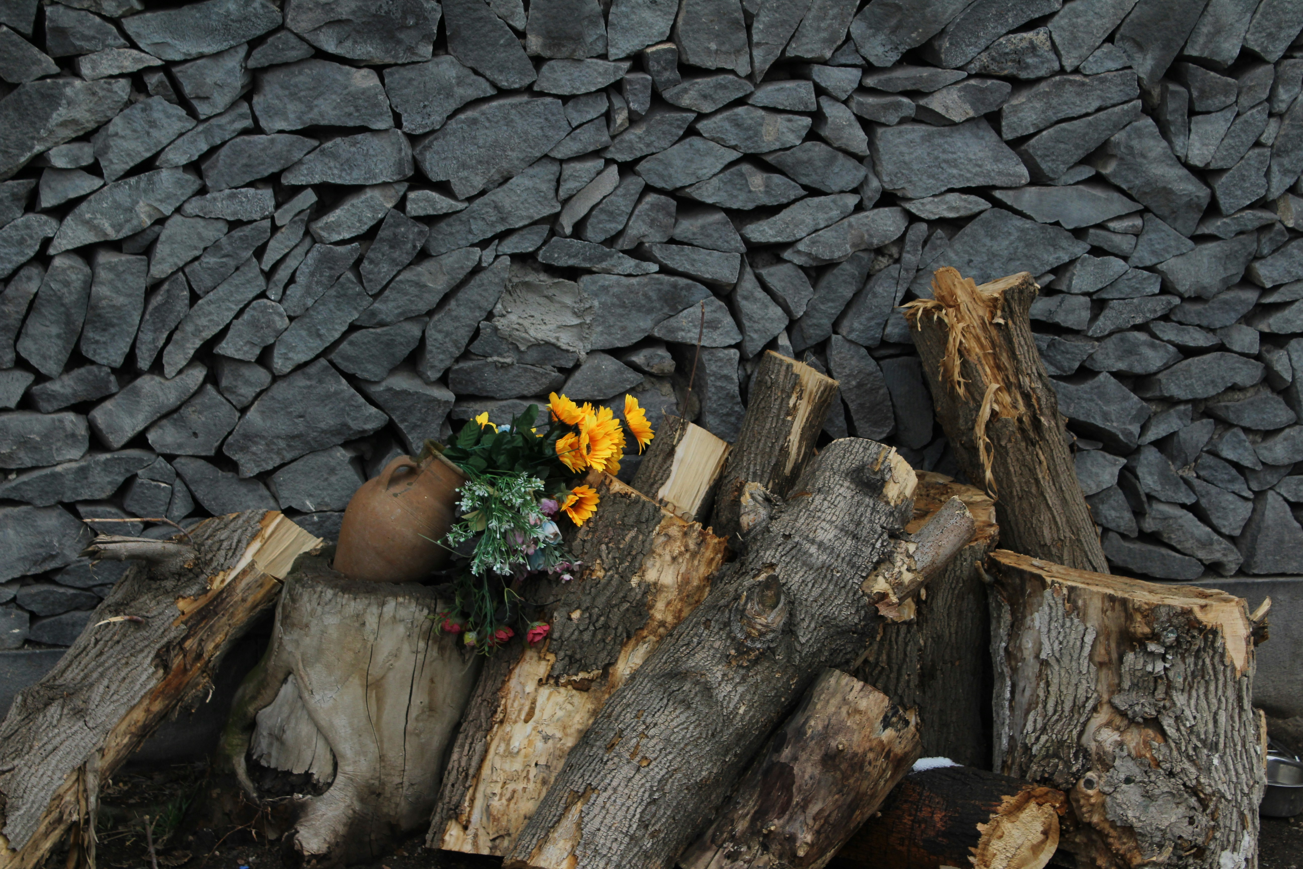 Sunlit bouquet among weathered logs in a stone-pile backdrop