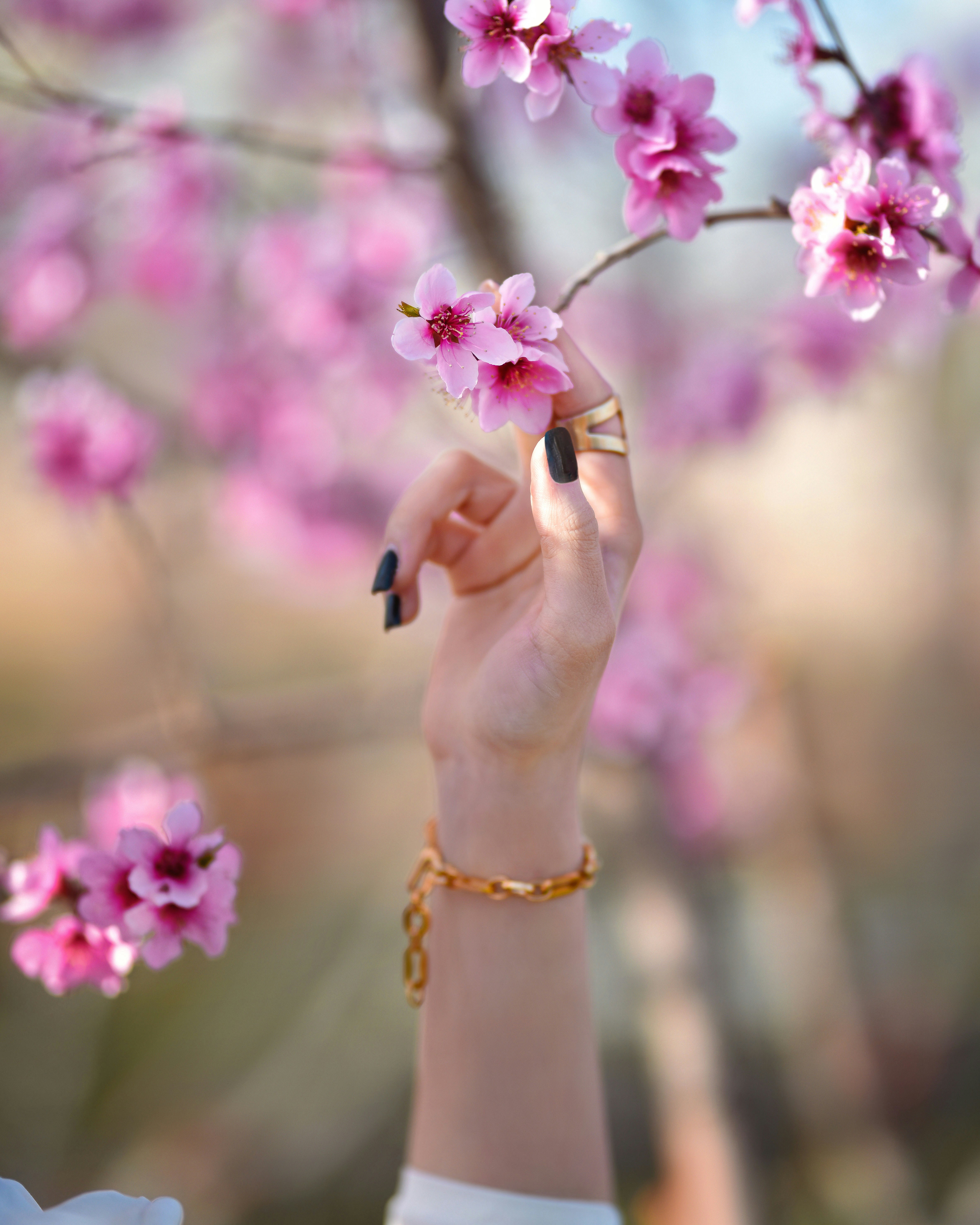 a woman's hand holding onto a branch with pink flowers