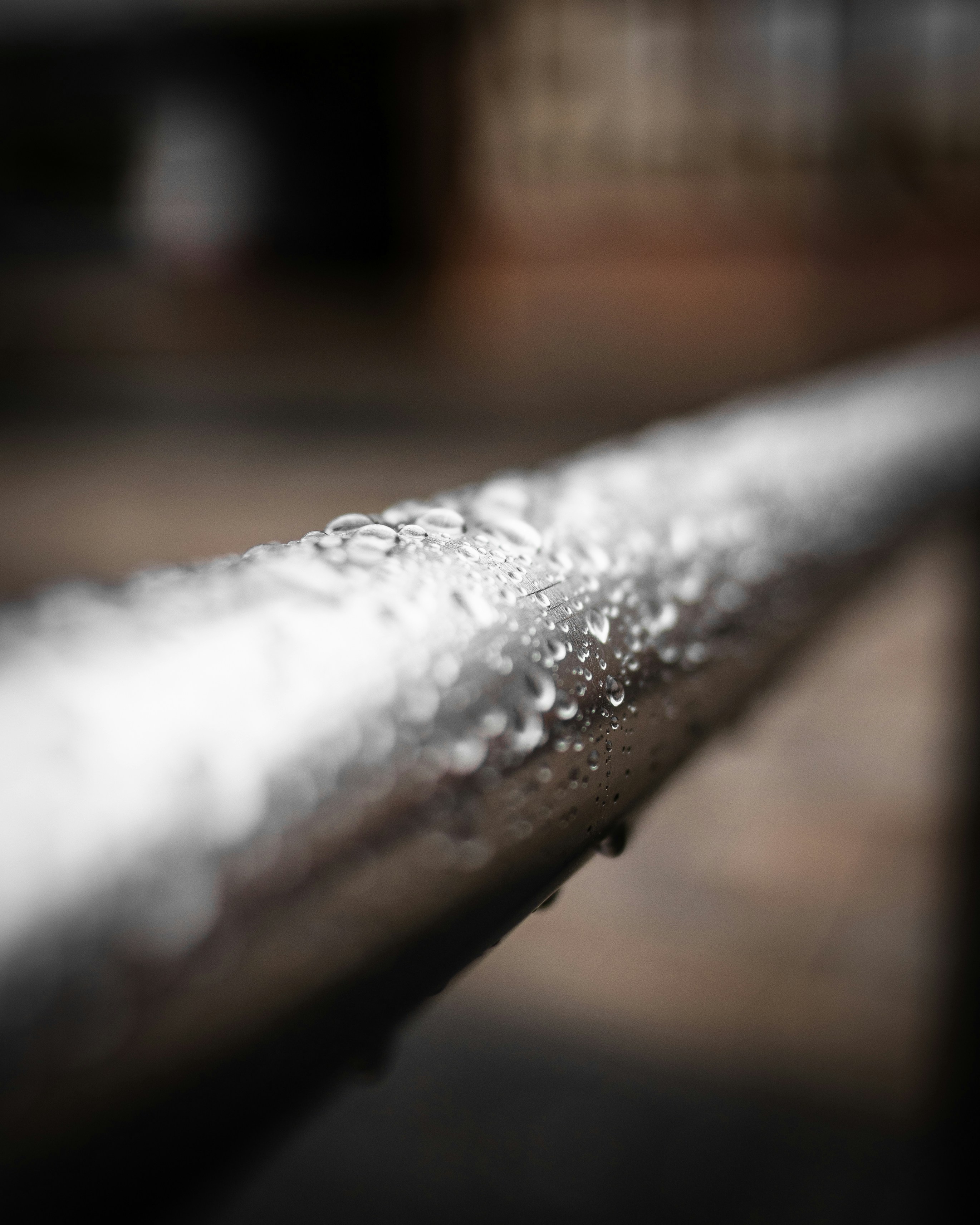 Dew Beads on a Weathered Railing: A Quiet Moment in Soft Focus