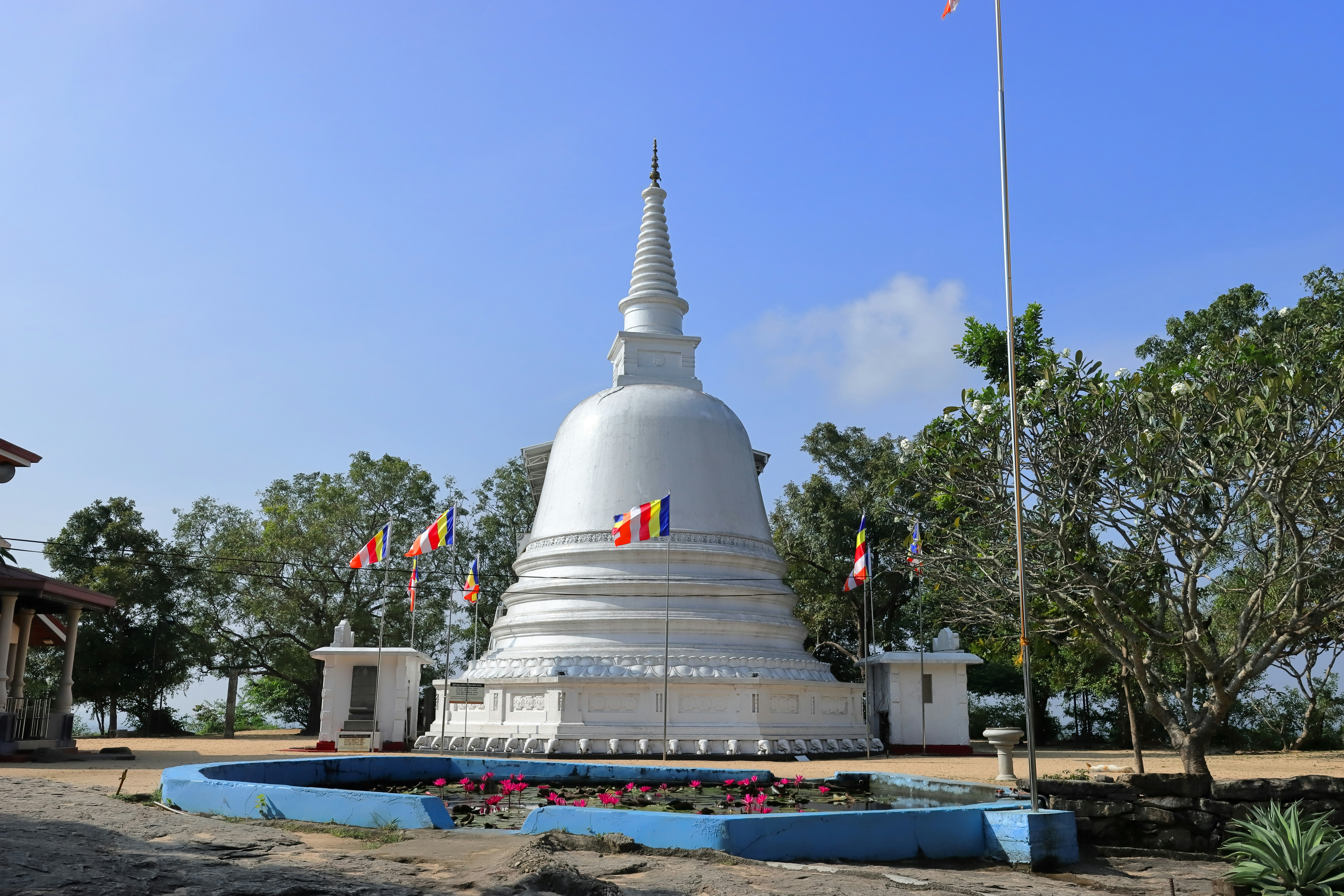 Maha Bodhiya Photos | Télécharger des images gratuites sur Unsplash