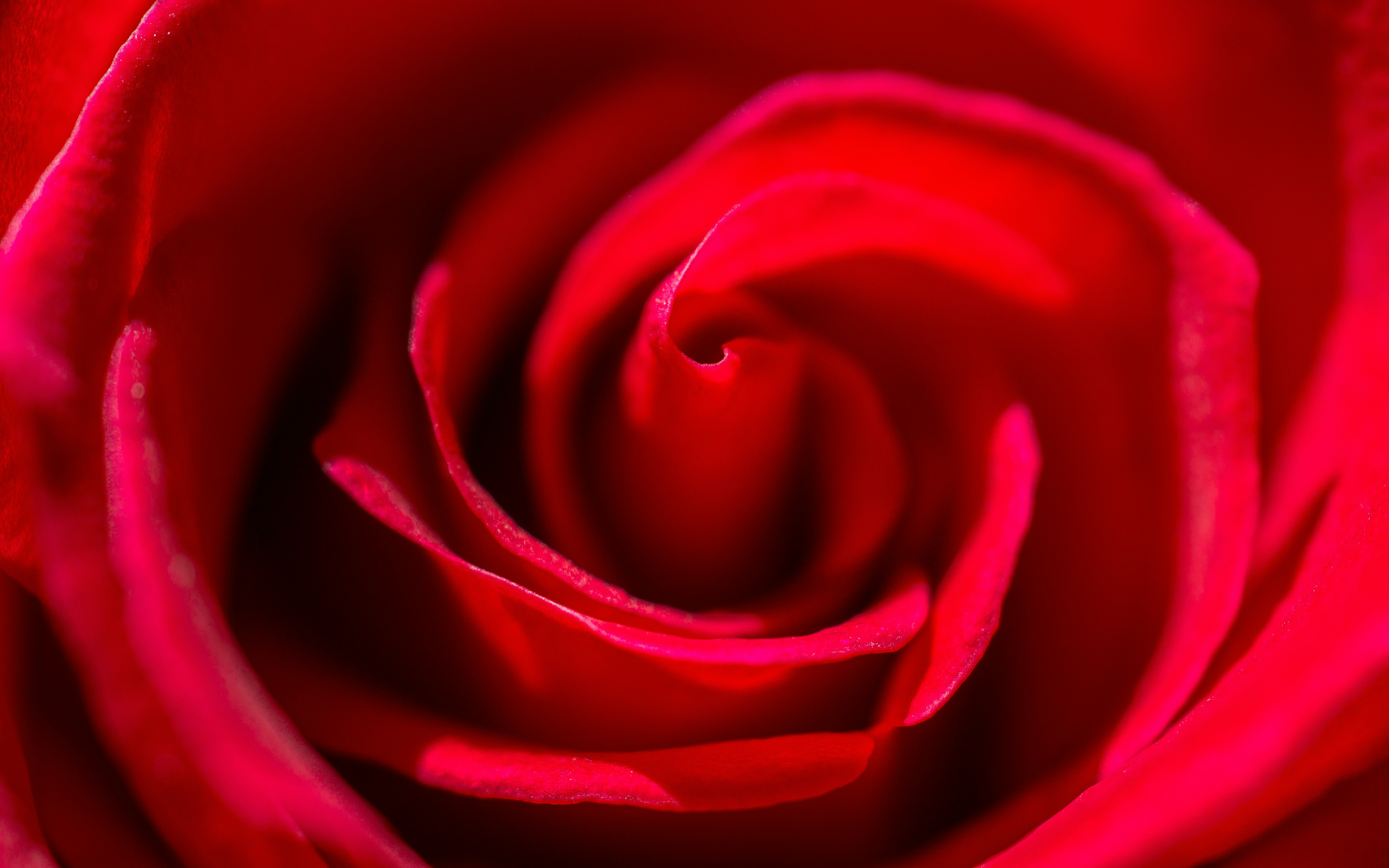 Photo by Vladimir Vishnyakov with Sony Alpha 77