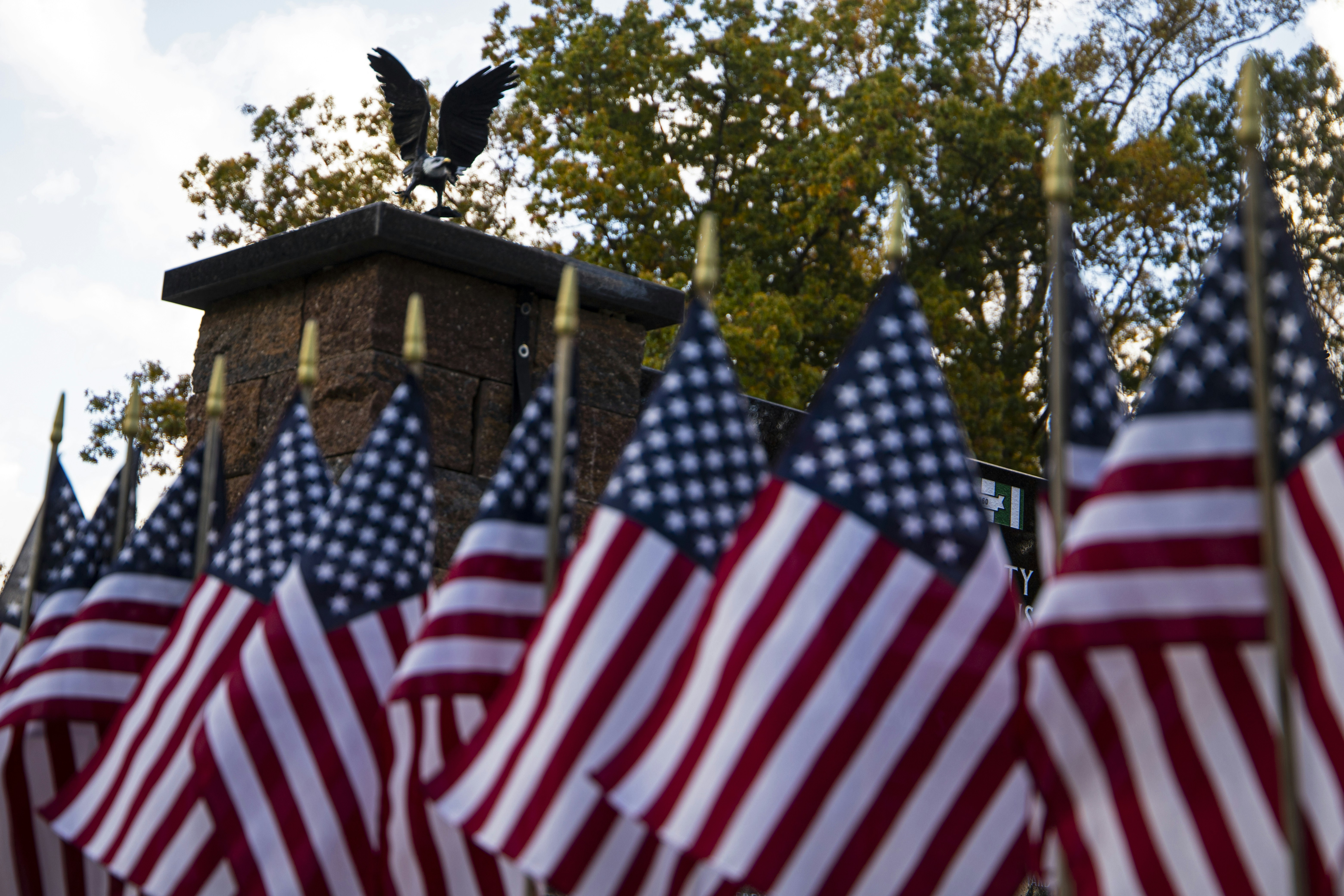 Eagle on the Memorial: A Monument Emerges Through a Sea of Flags