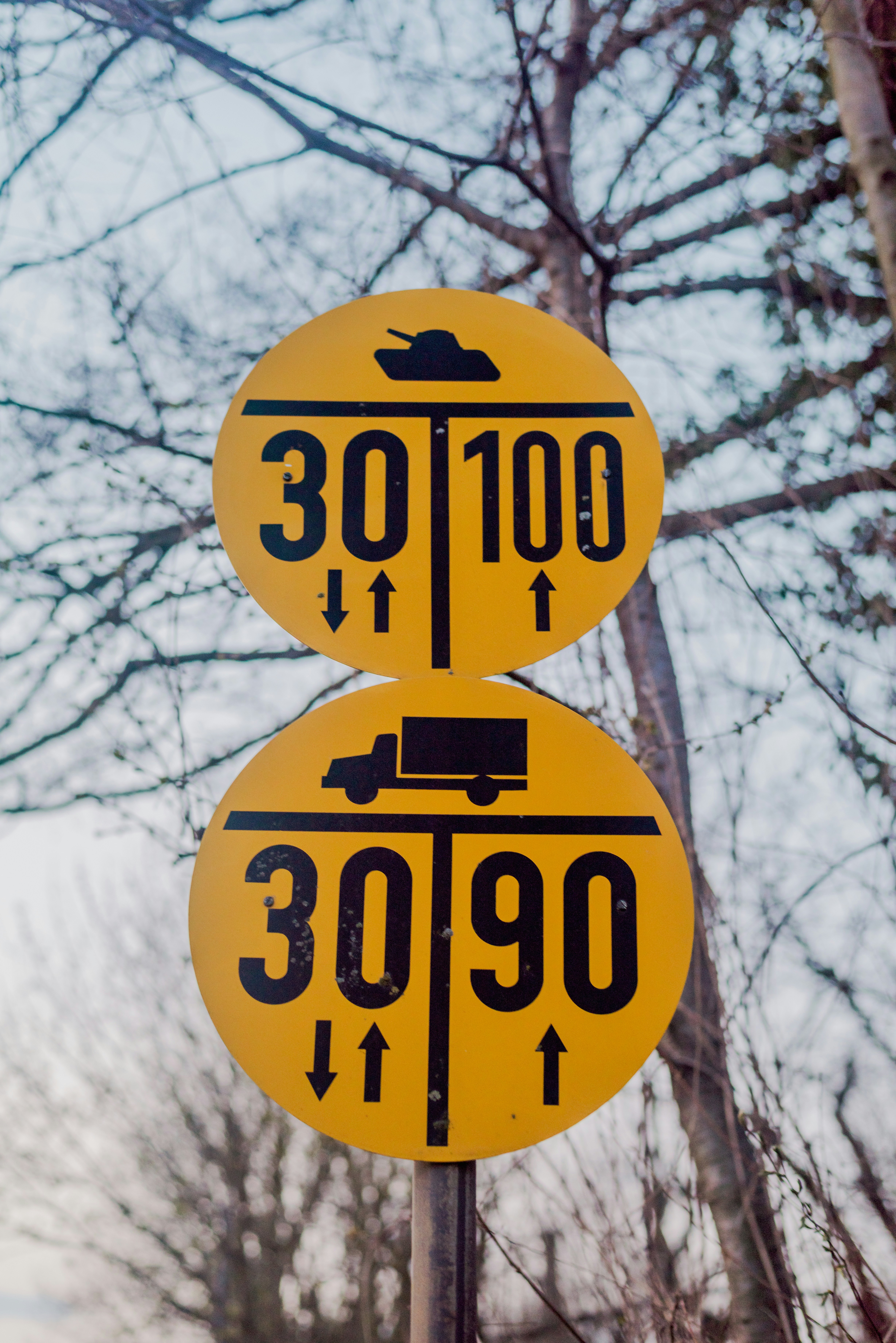 Double Yellow Signage: Speed Limits in a Winter Forest Scene