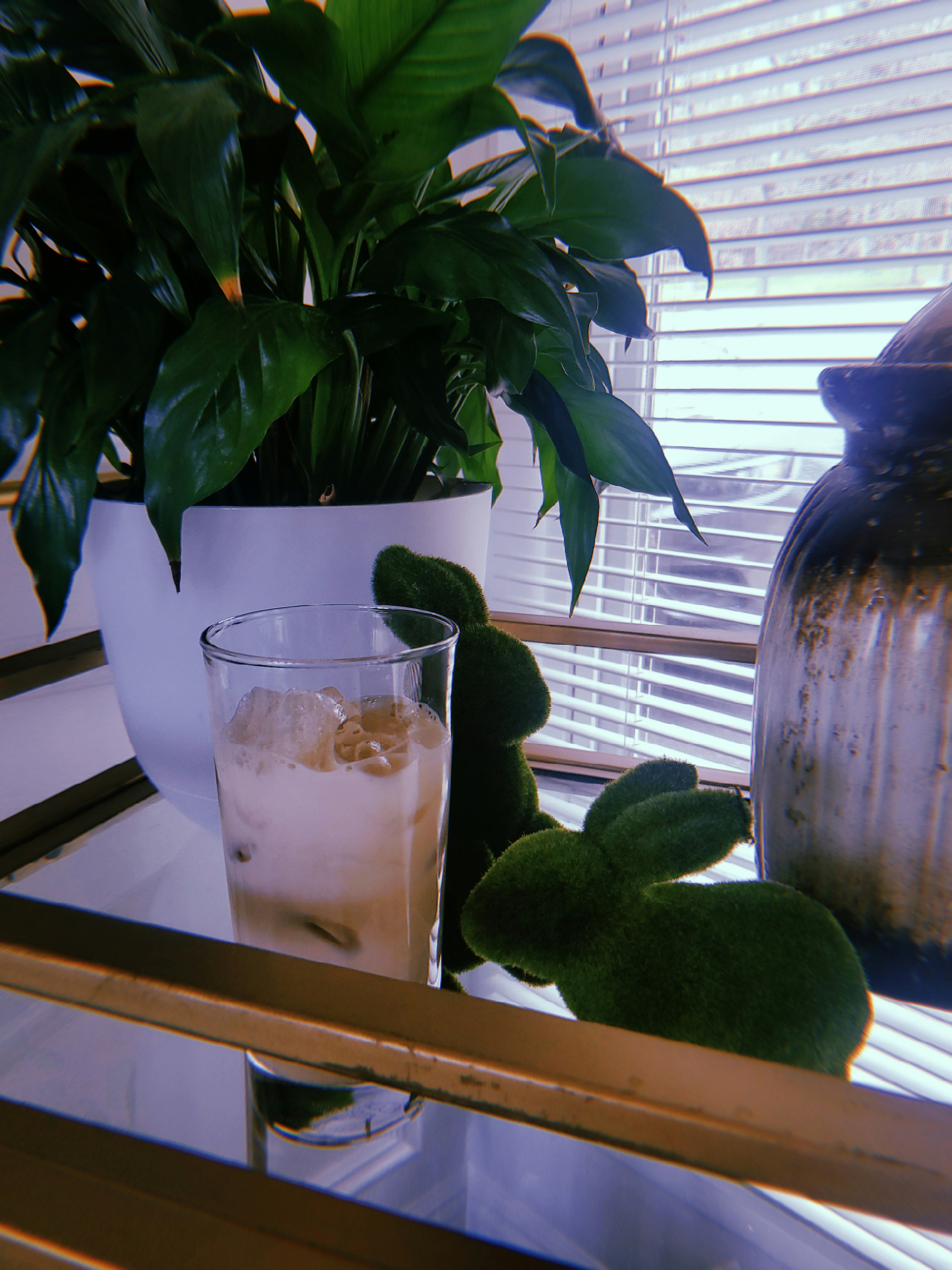 a potted plant sitting next to a glass on a table