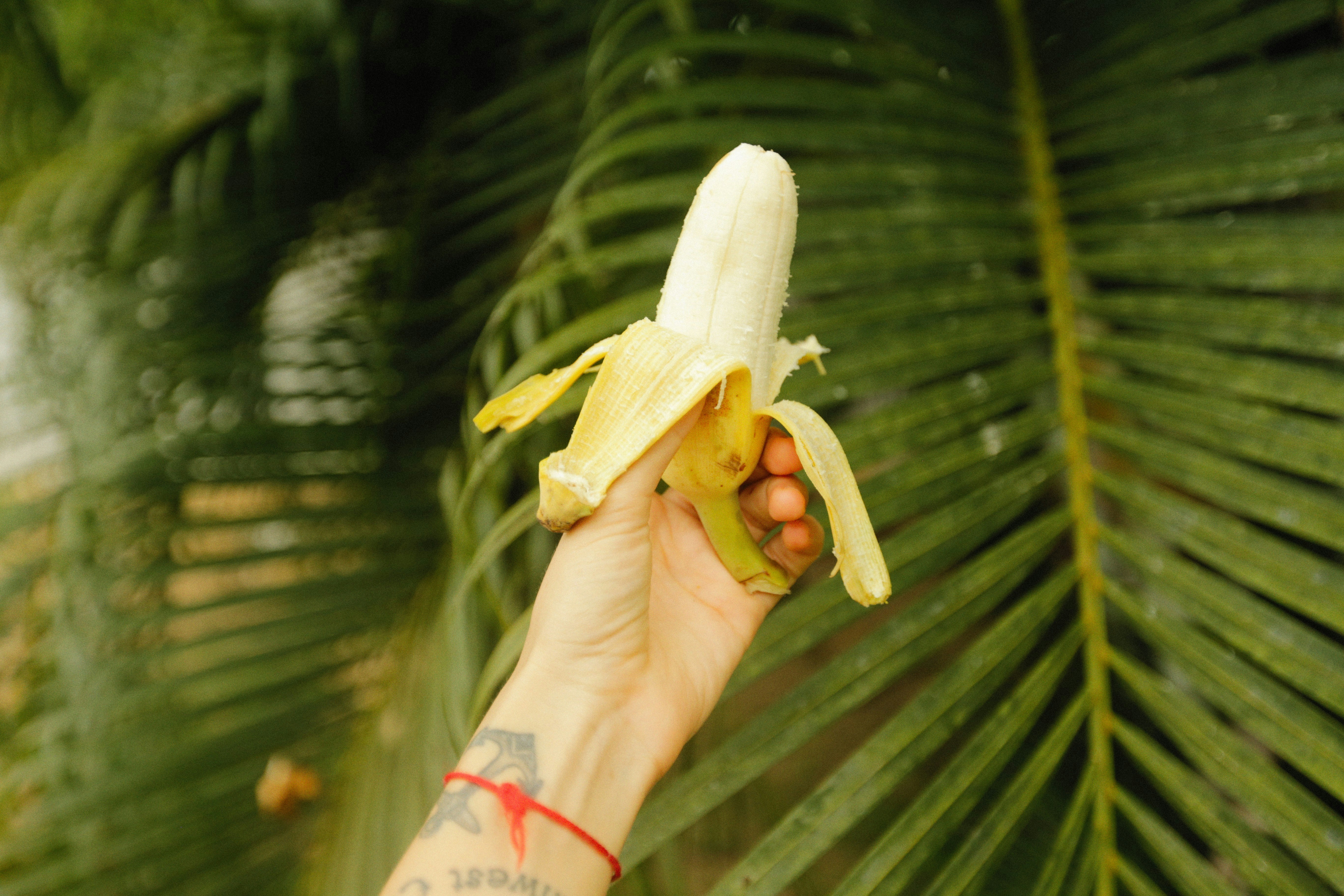 a person holding a banana in their hand