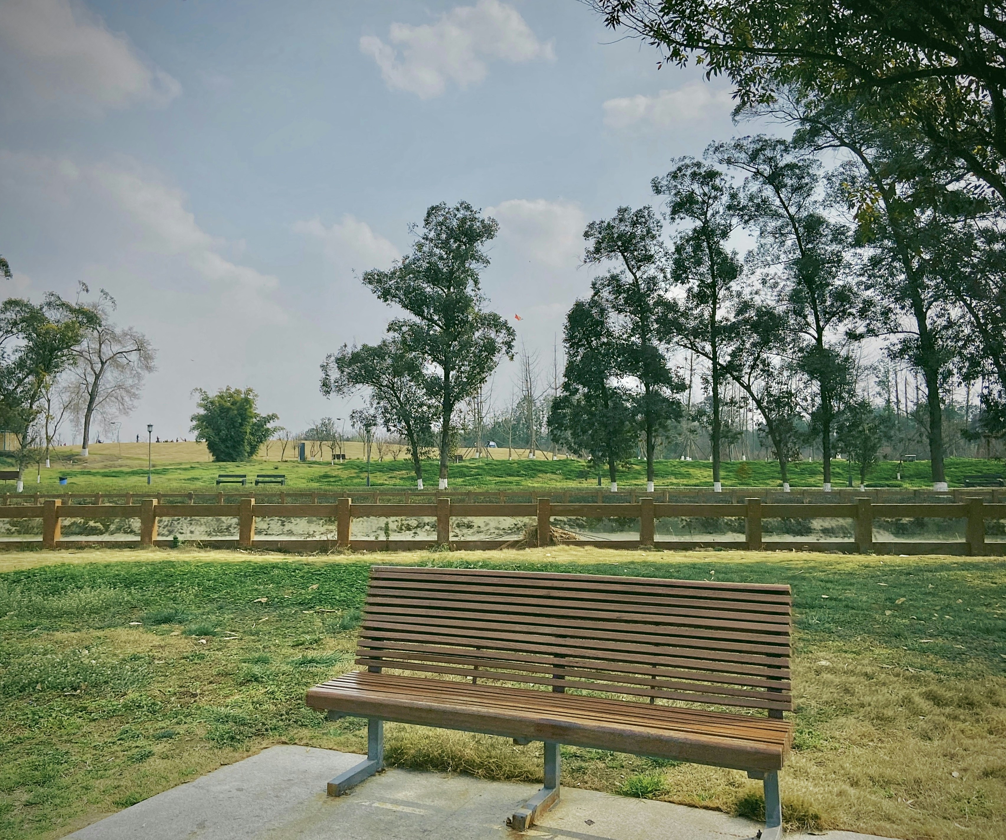 a wooden bench sitting in the middle of a park
