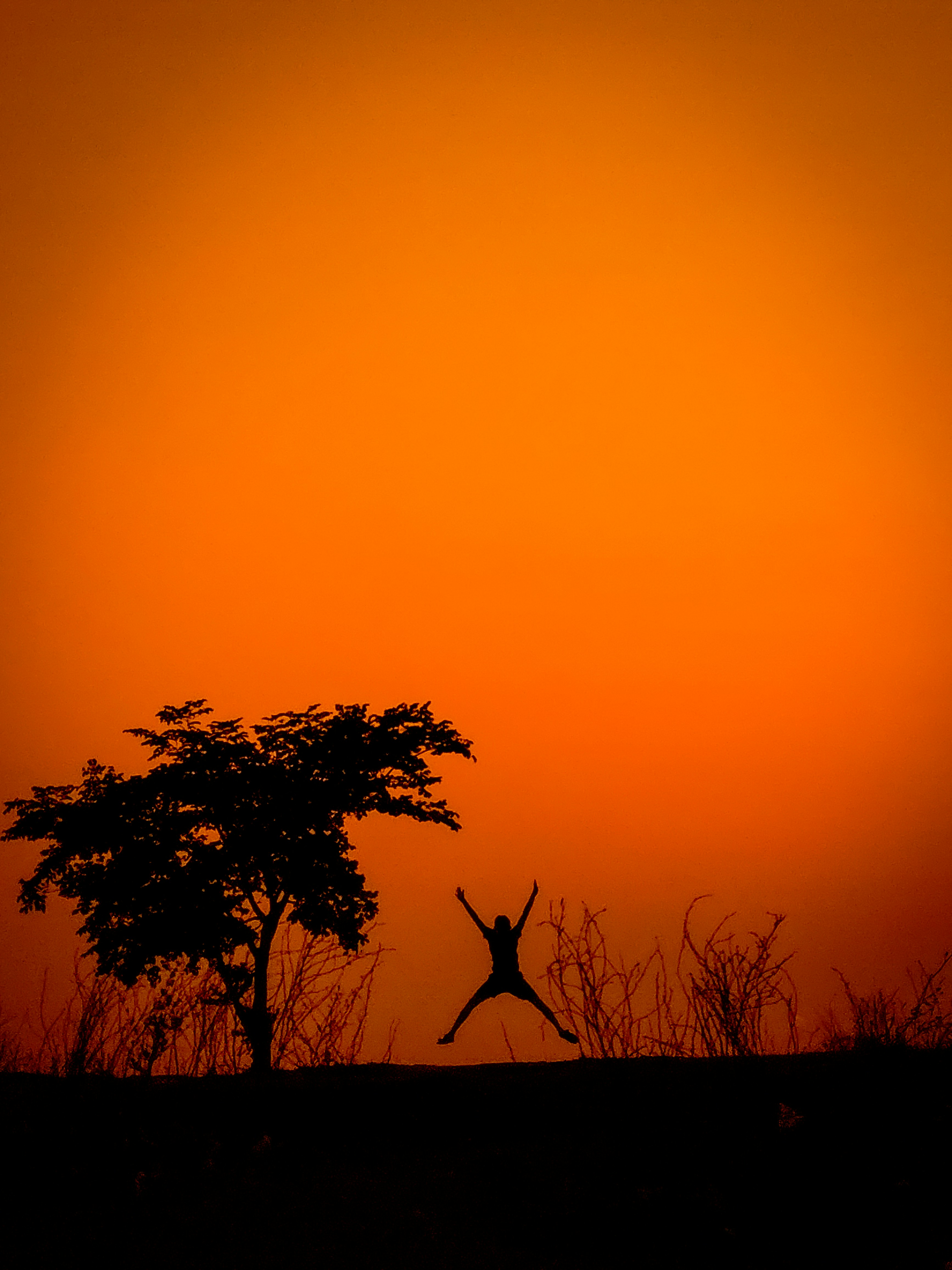 Silhouette of a person jumping near a tree against a vibrant orange sunset sky.