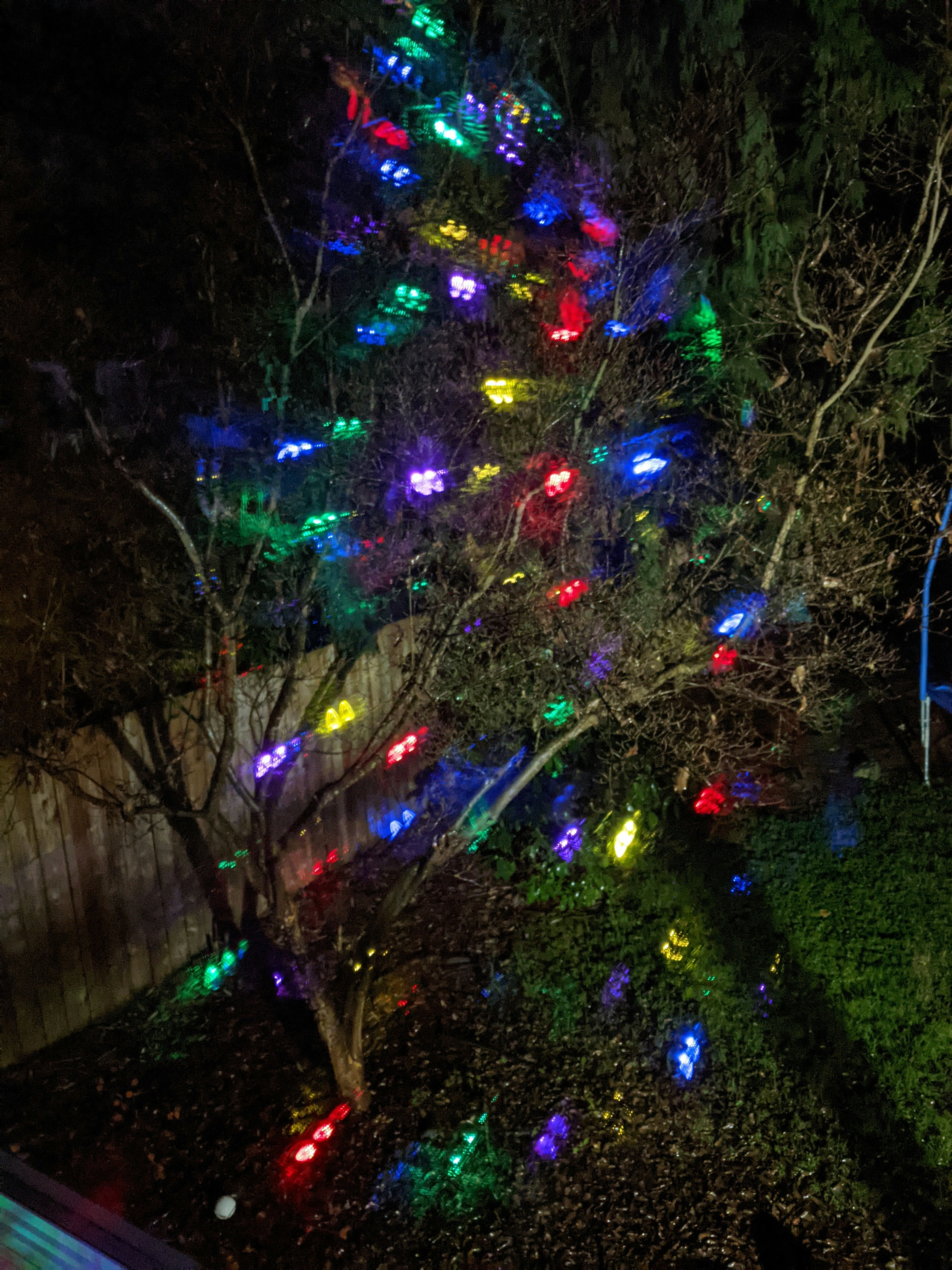 a lighted christmas tree in a backyard at night