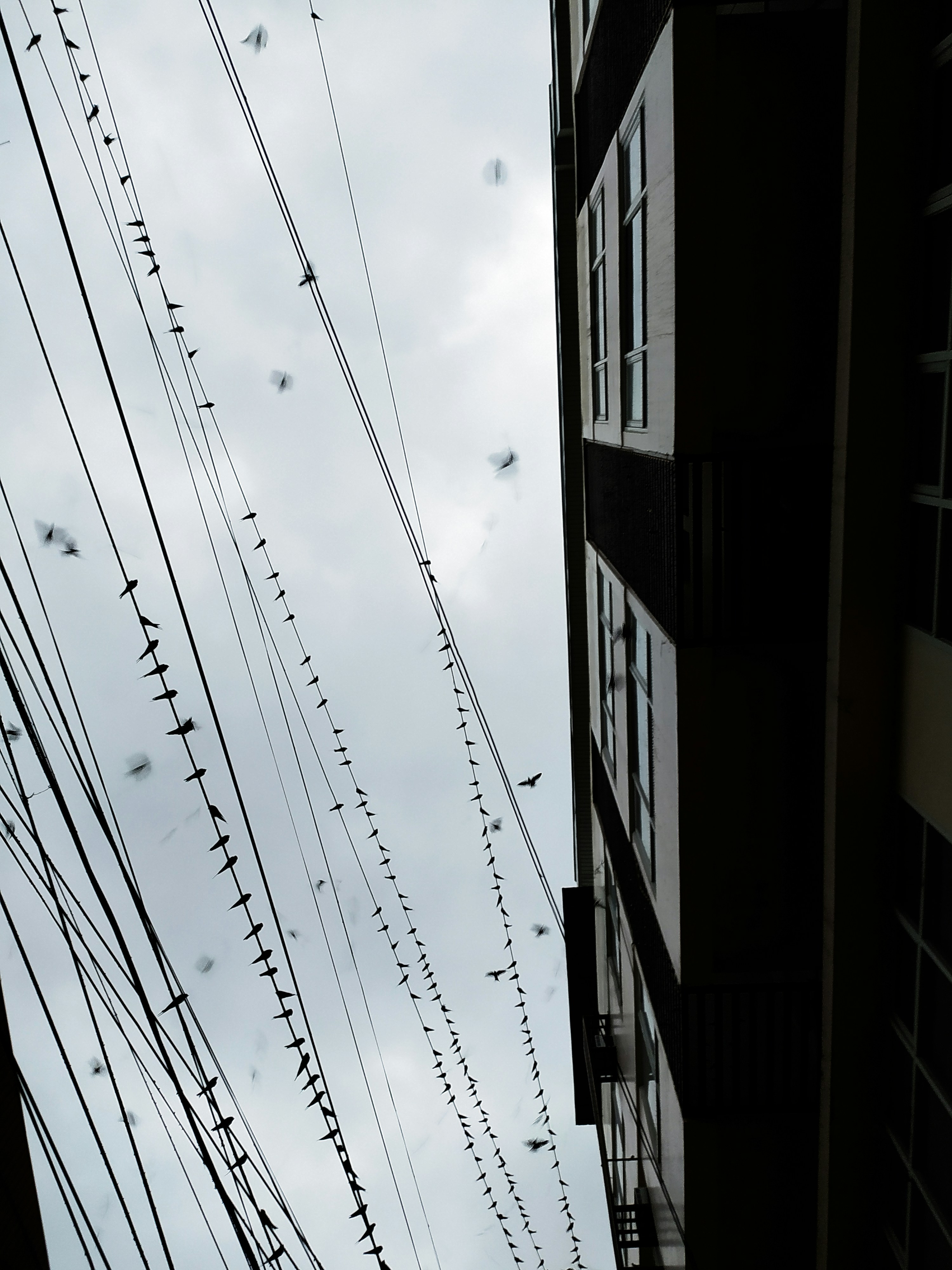 a bunch of wires that are in the air
