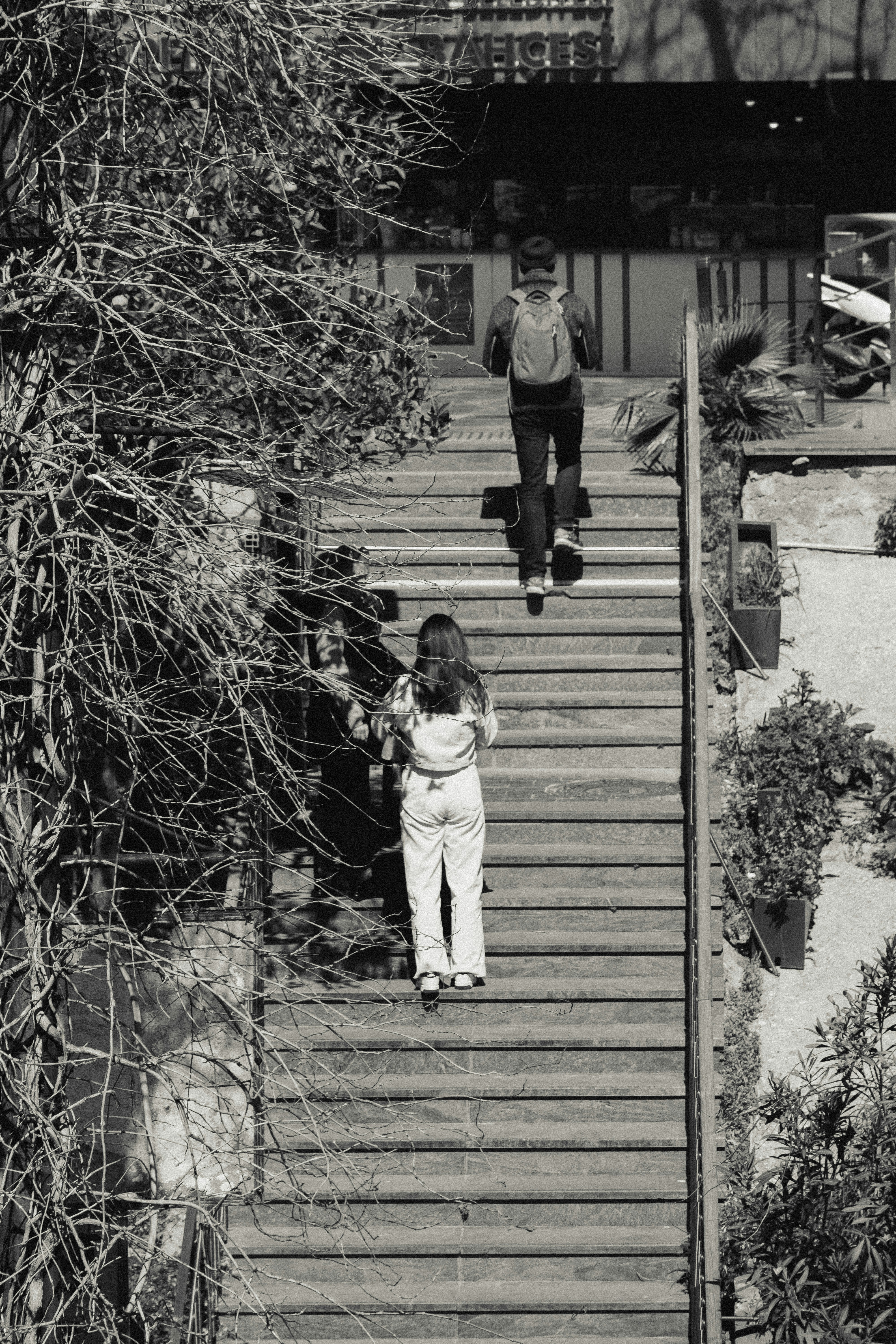 Ascending Steps: A Quiet Staircase Journey