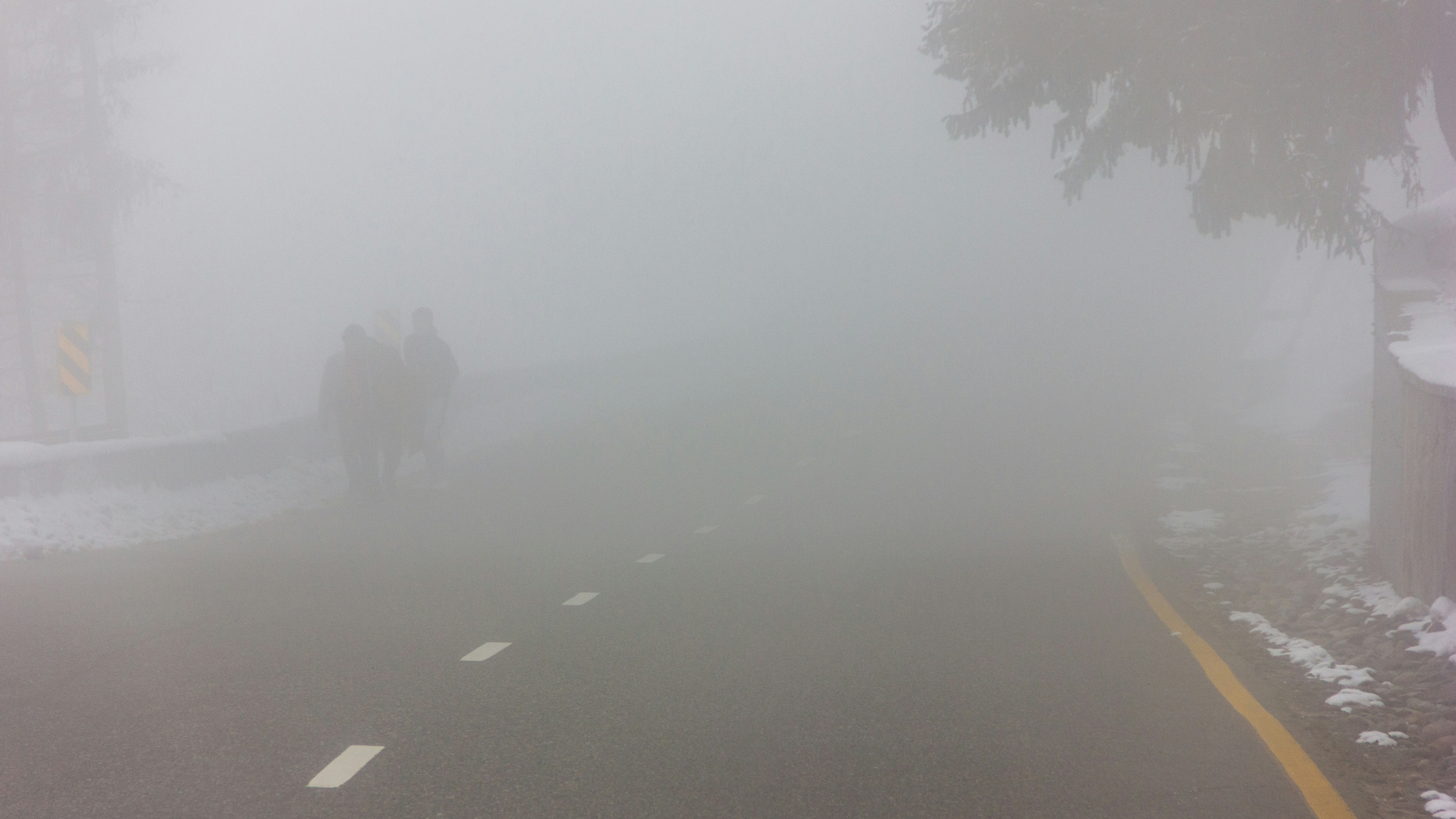 Mistbound Crossing: Silhouettes on a Fog-Blank Road