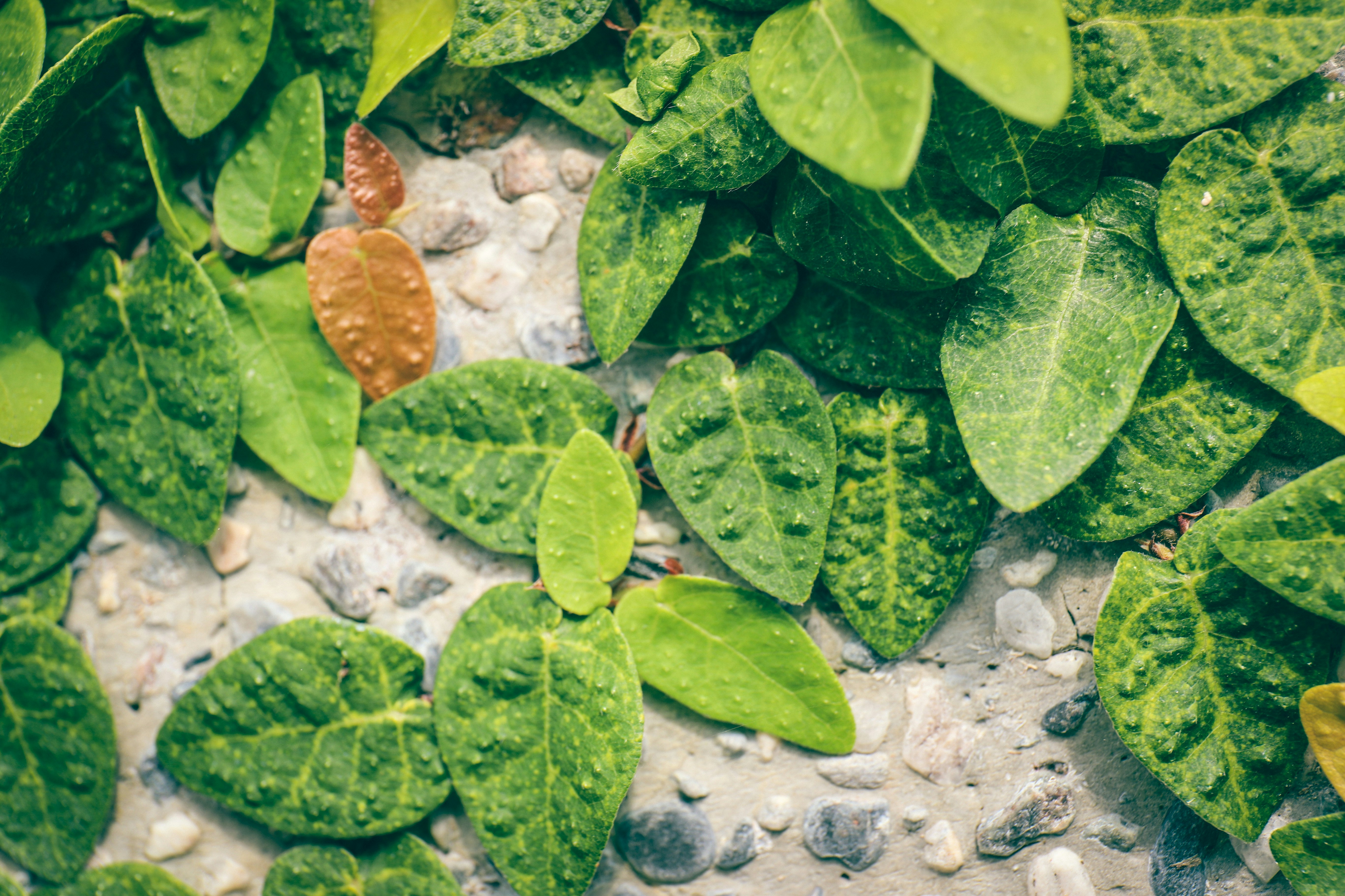 chen yanhui (@chenyanhui) | Komunitas Foto Unsplash