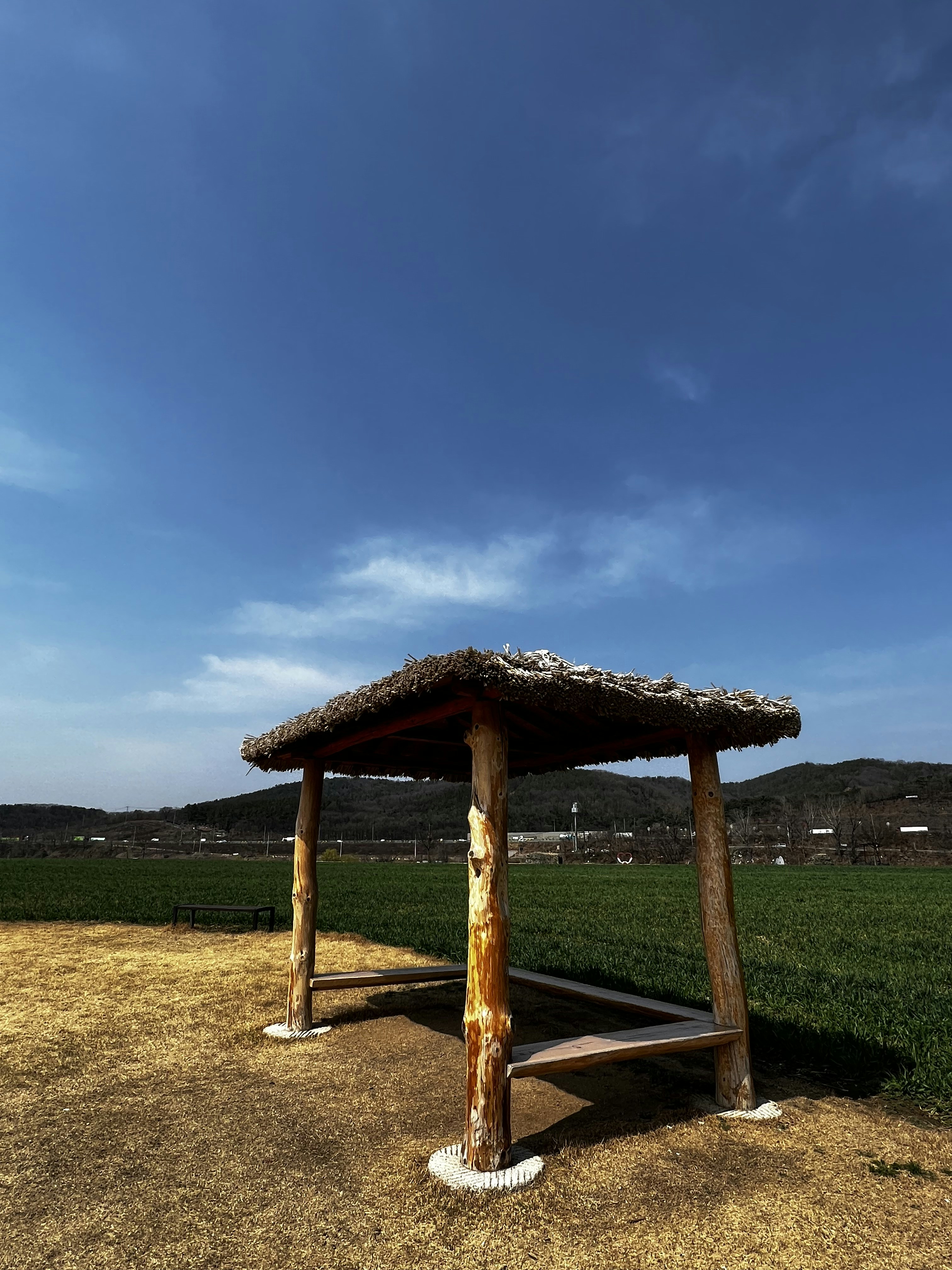Thatched Shelter at the Edge of a Quiet Field Under a Vast Blue Sky