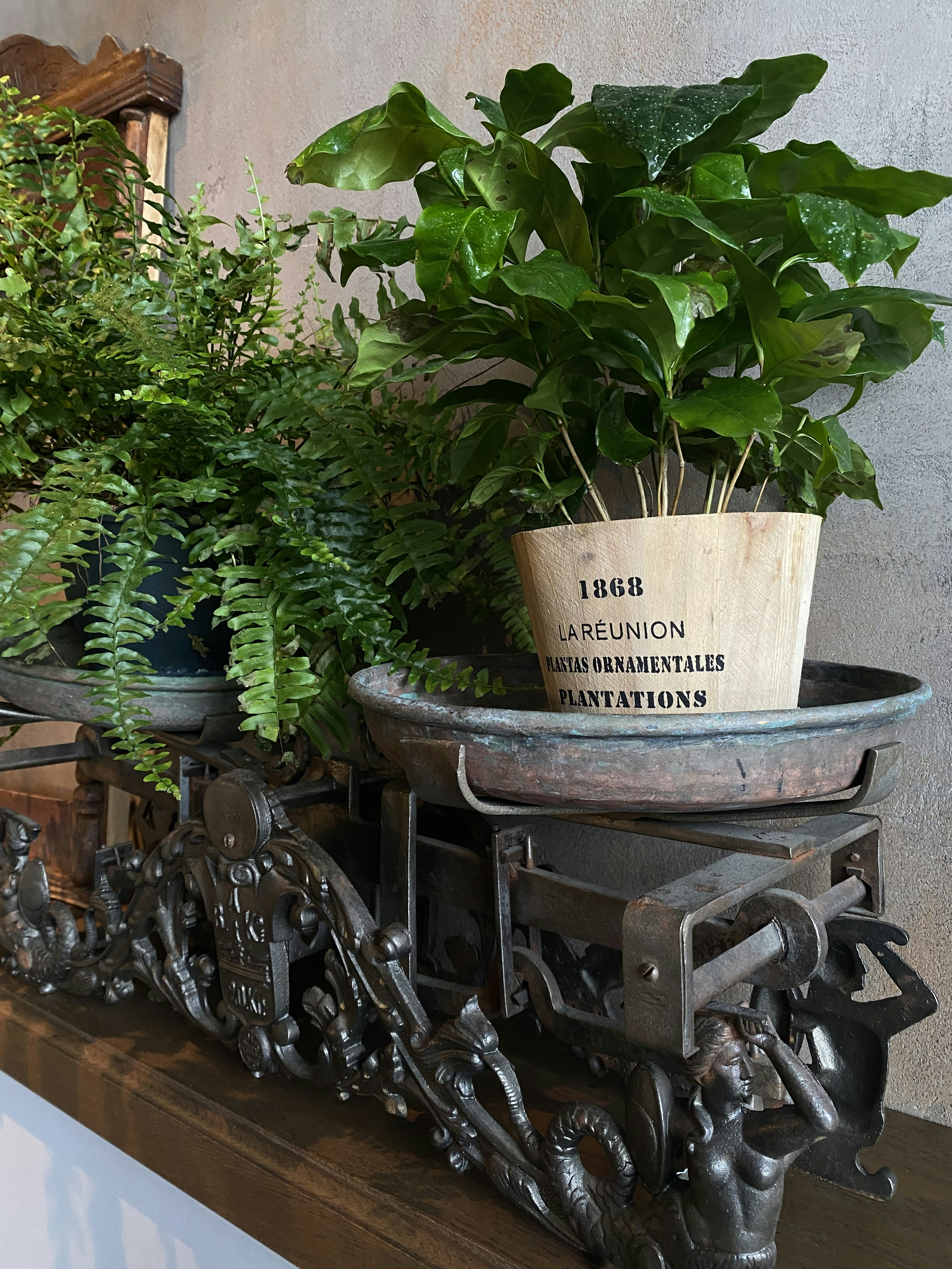 Verdant Focal Point on a Wrought-Iron Scale