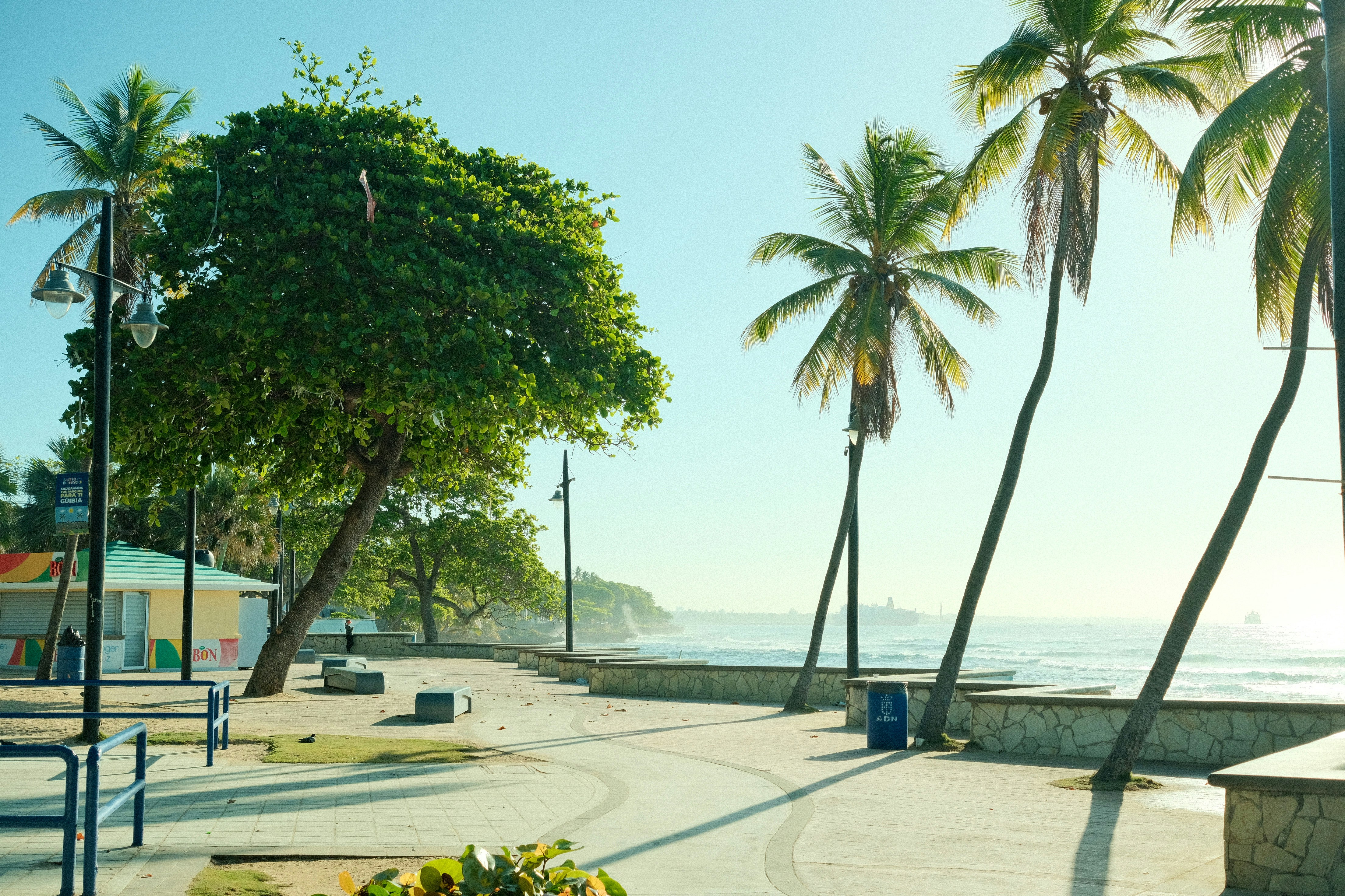 Palm-Shadowed Seaside Promenade in Bright Afternoon Light