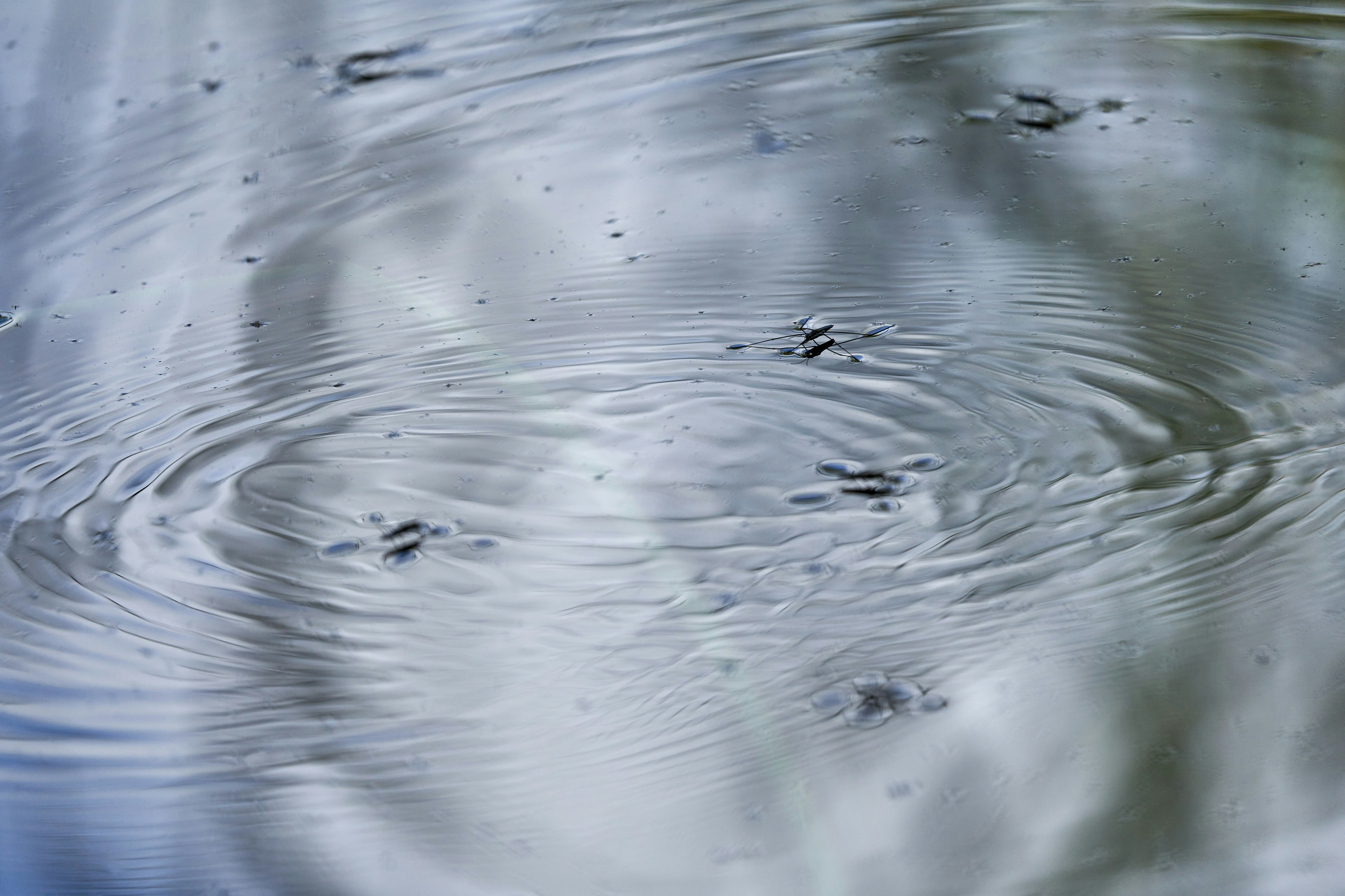 A close up of a water drop with clouds in the background photo – Free ...