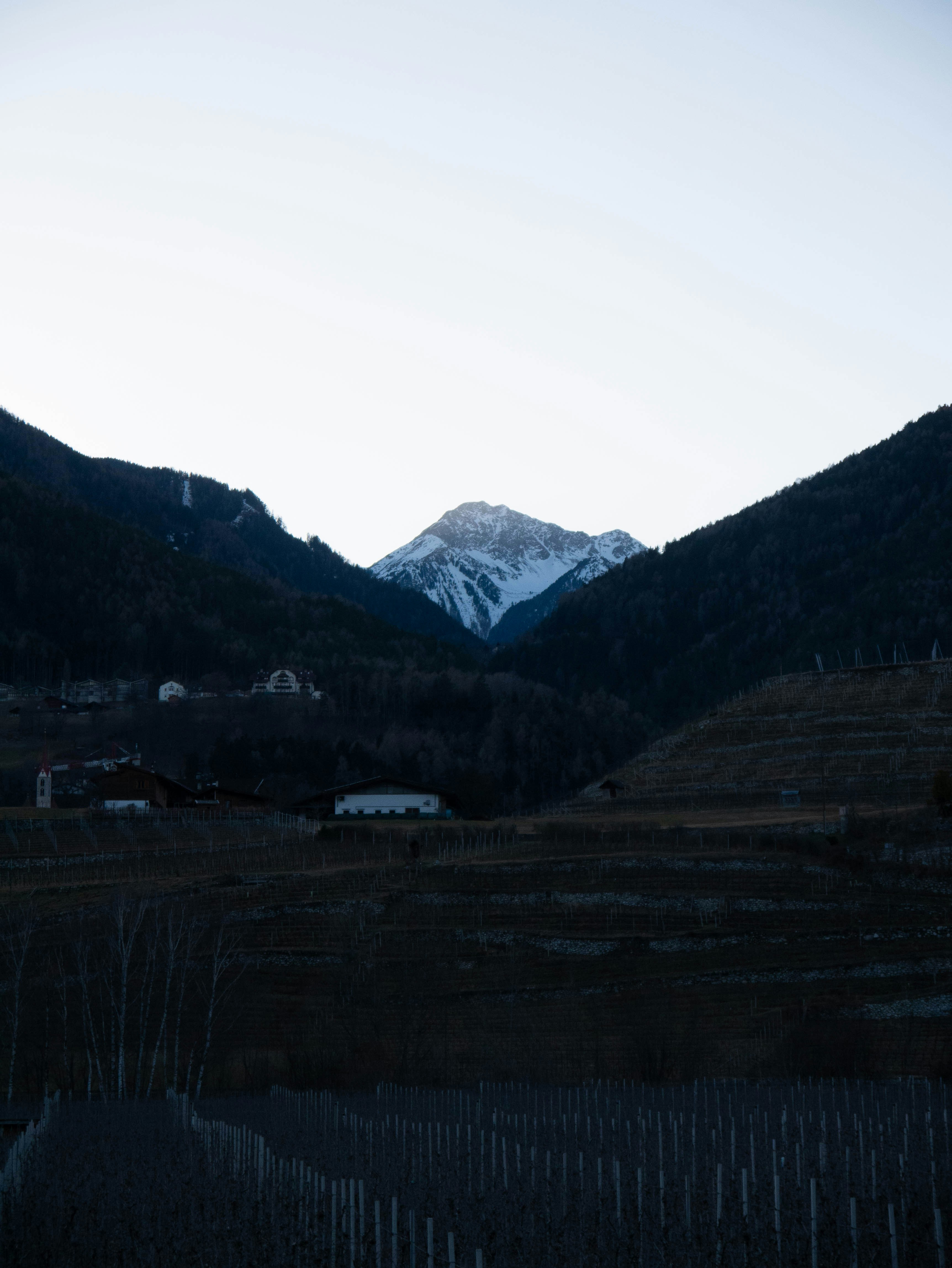 Snow-capped summit framed by terraced valley under blue-hour sky.