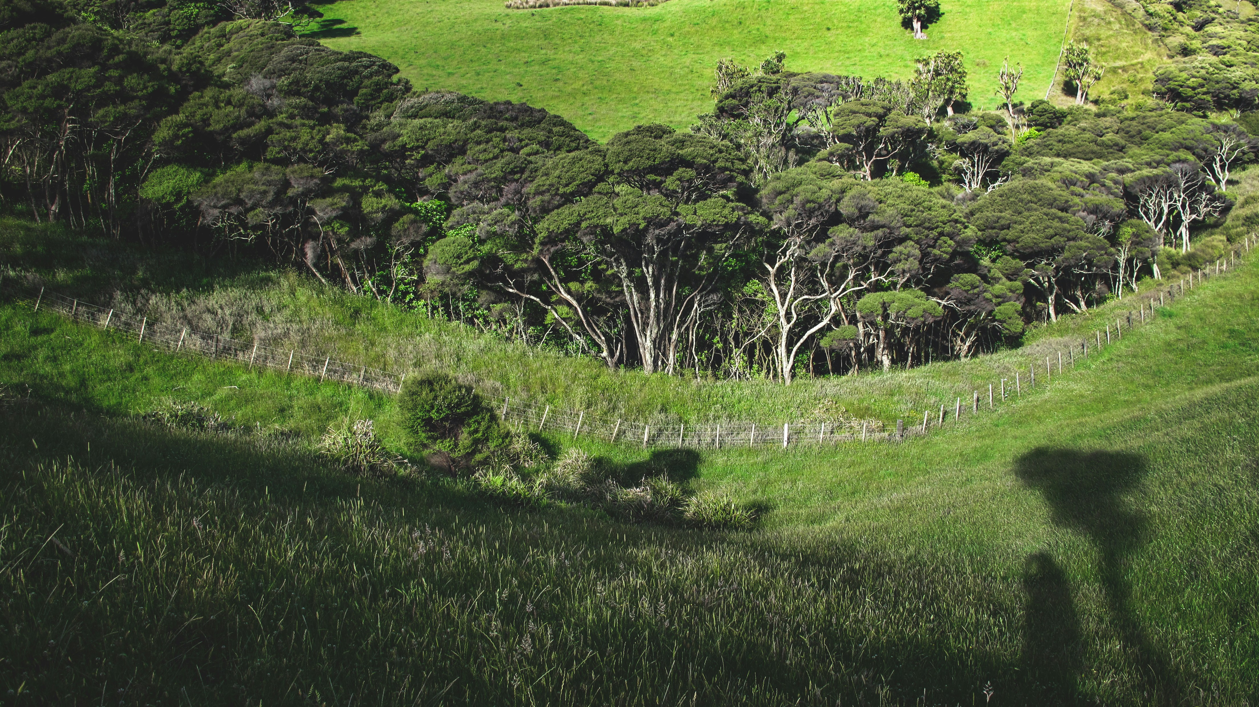 Curved Fence over a Sunlit Ridge: A Quiet Highland Panorama