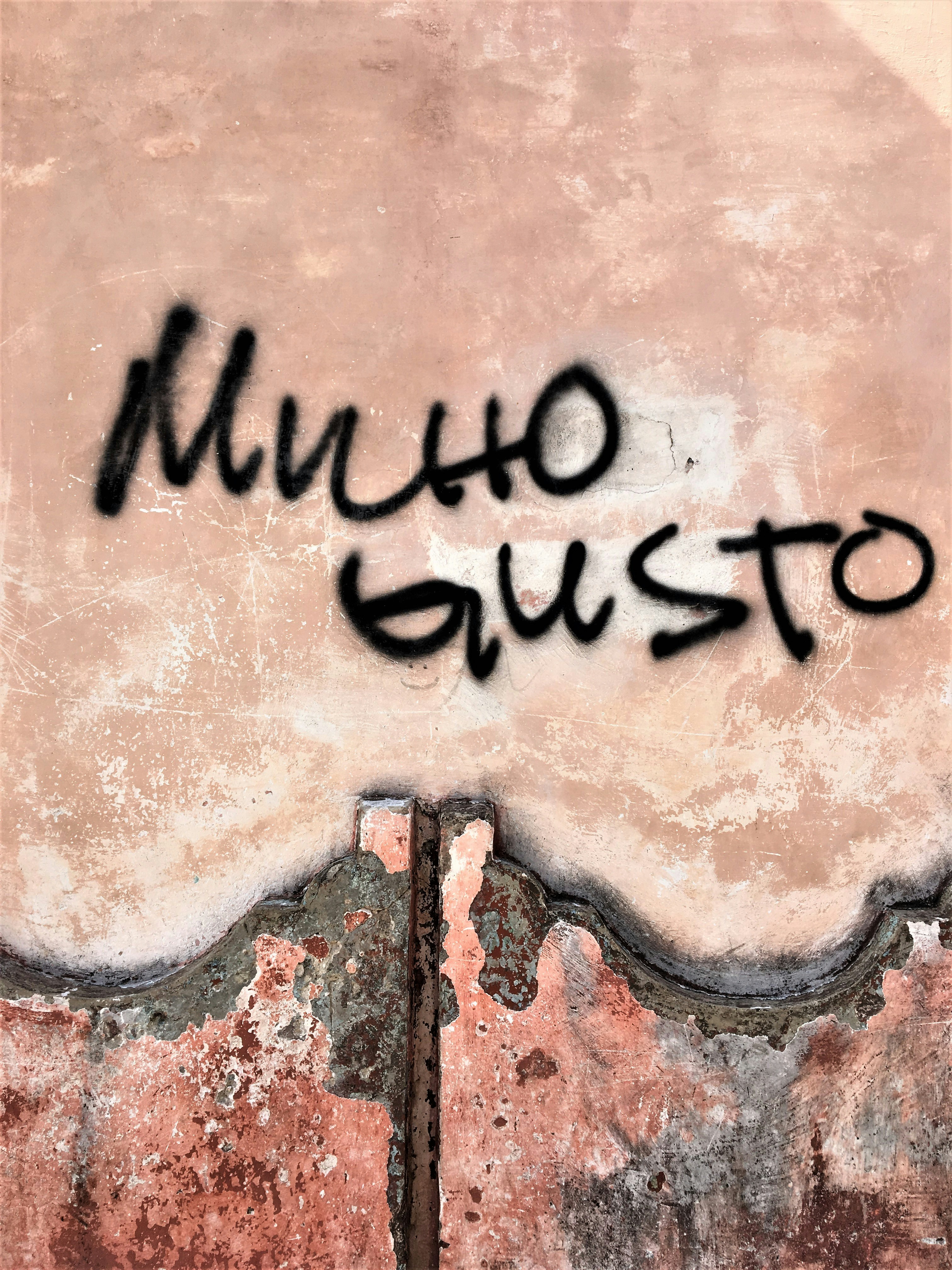 Graffiti sur un mur qui dit Muro Gust photo – Photo San cristobal de ...