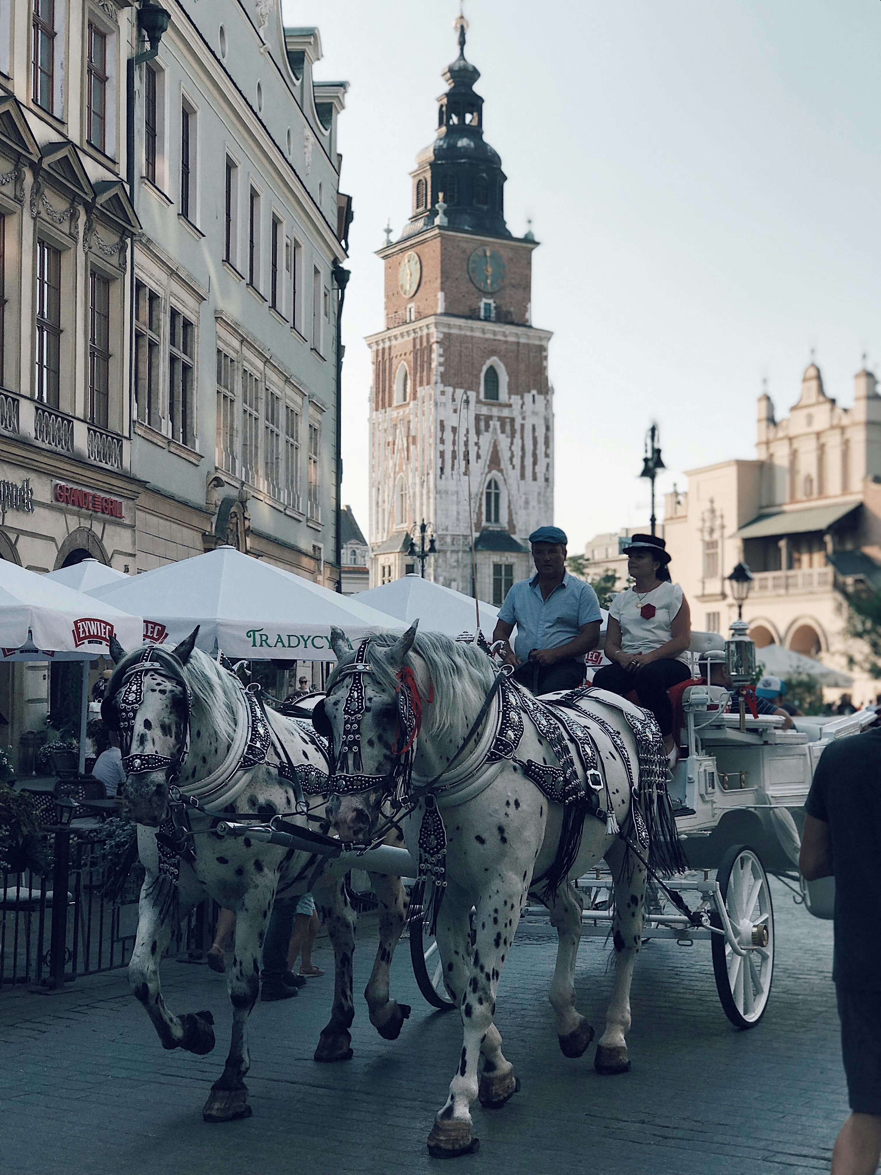 Carriage Parade Under a Stately Clock Tower