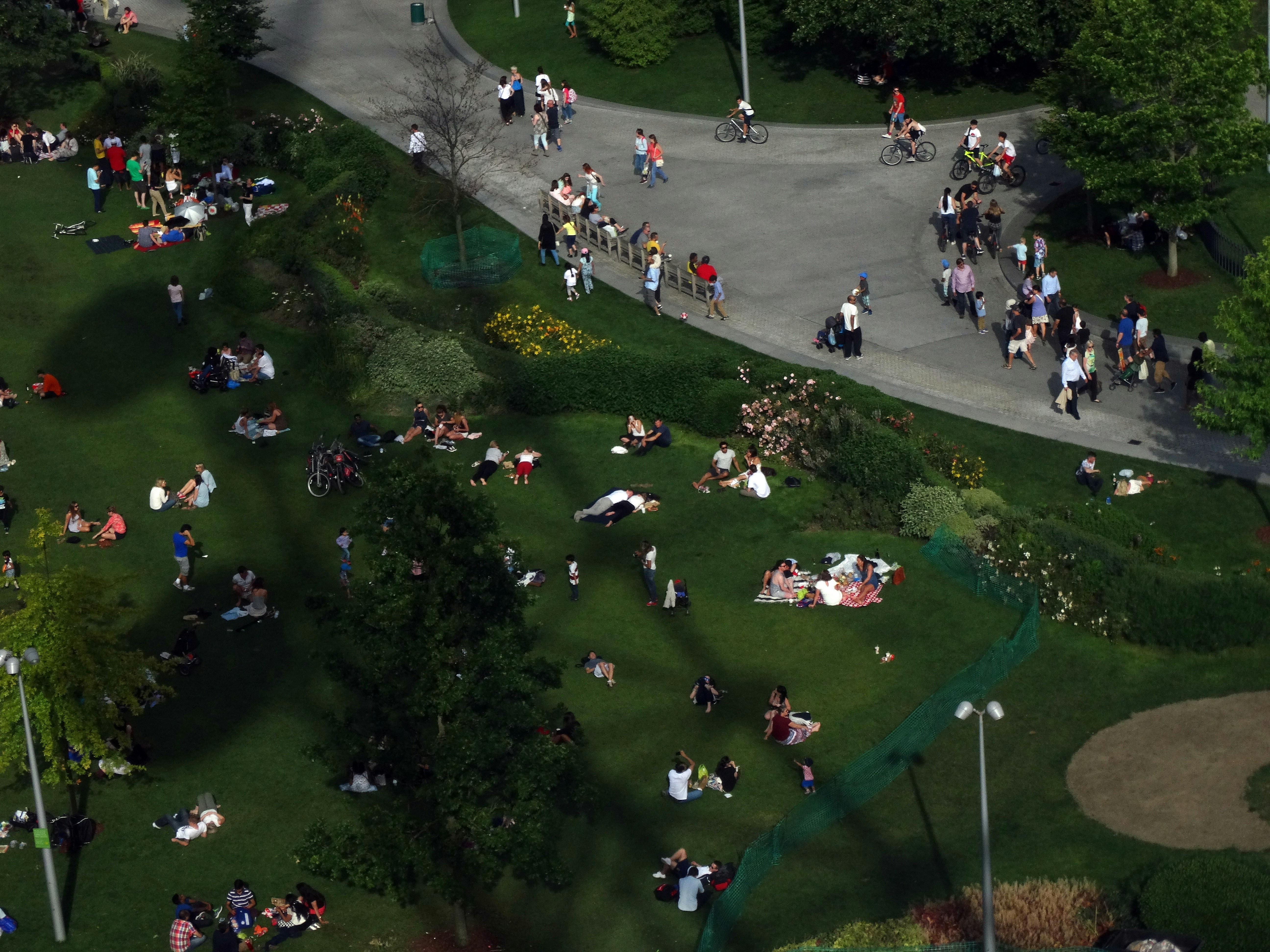Aerial Pulse: Sunlit Gatherings in a Lush Urban Park