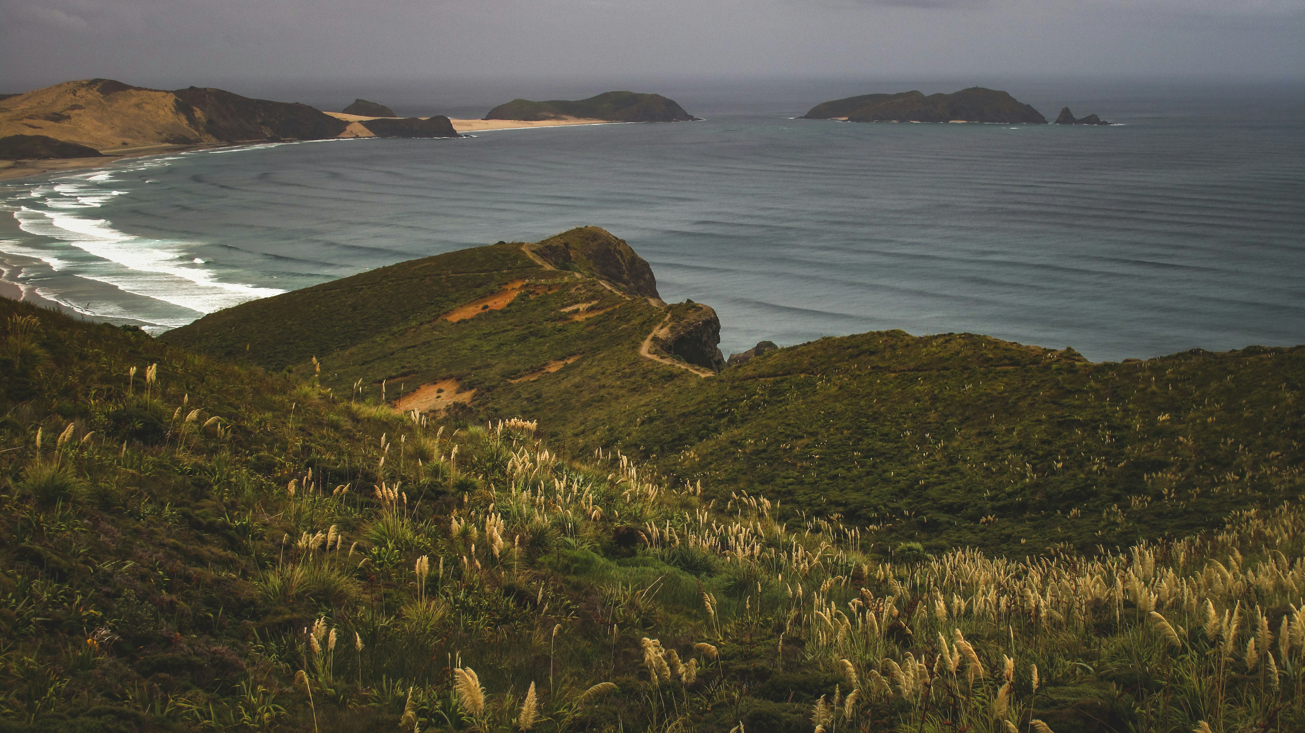 Distant coast and rolling dunes covered in tall grasses lead to a calm sea under a clear sky. A natural landscape emphasizing the undulating terrain and shoreline.