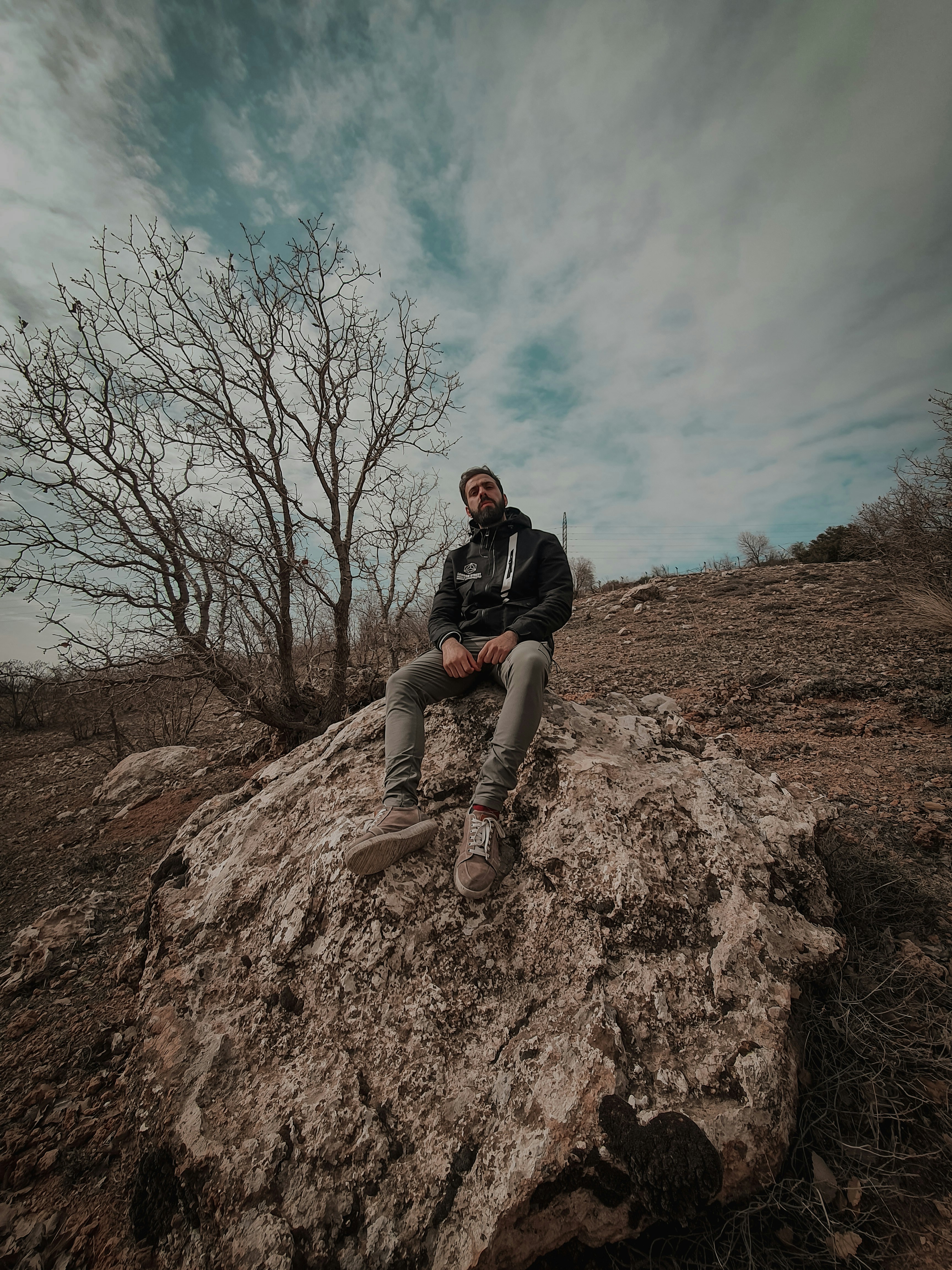 A person sitting on a large rock amidst a barren landscape with a leafless tree in the background, under a cloudy sky.