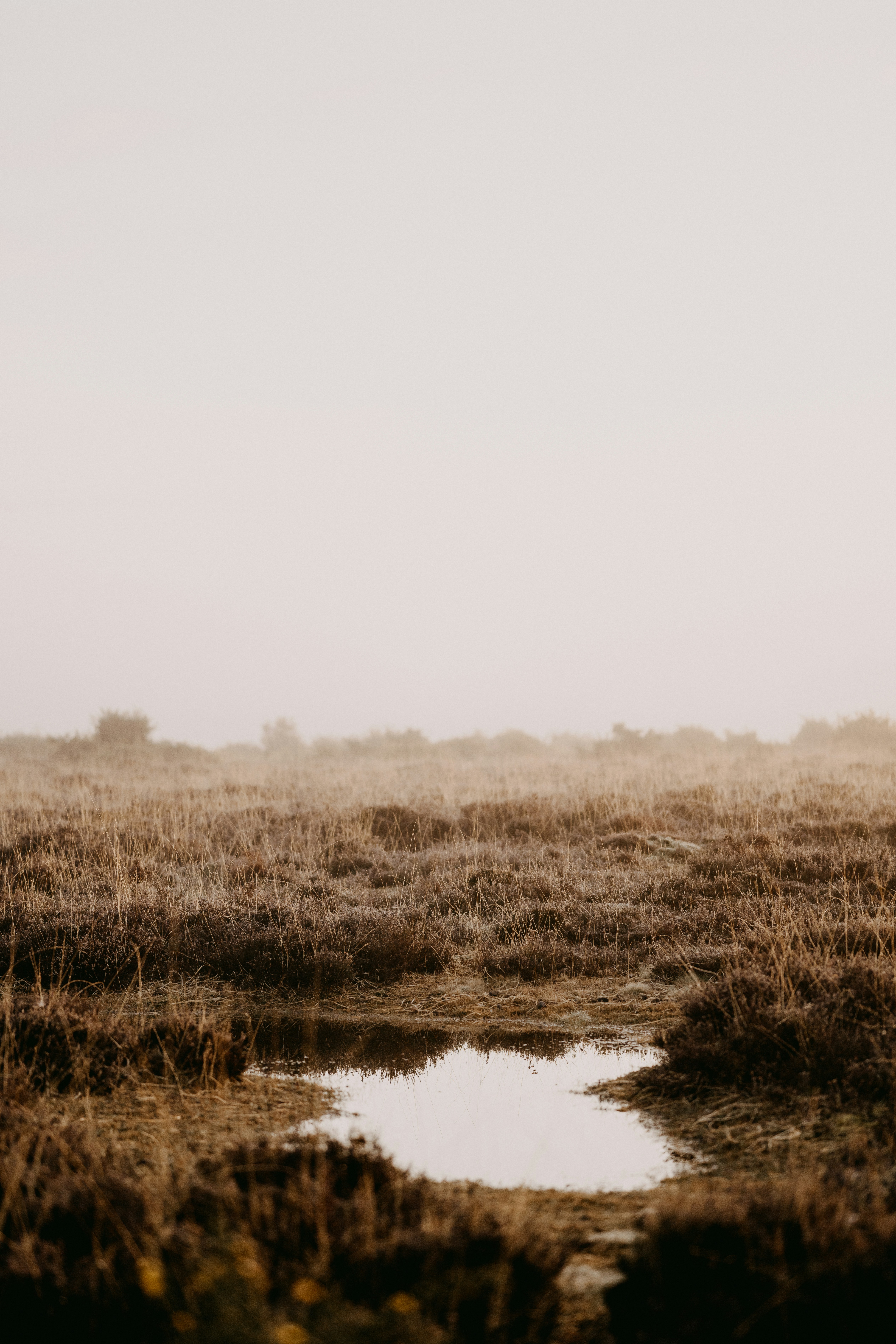 A field with a puddle of water in the middle of it photo – Free Sunrise ...
