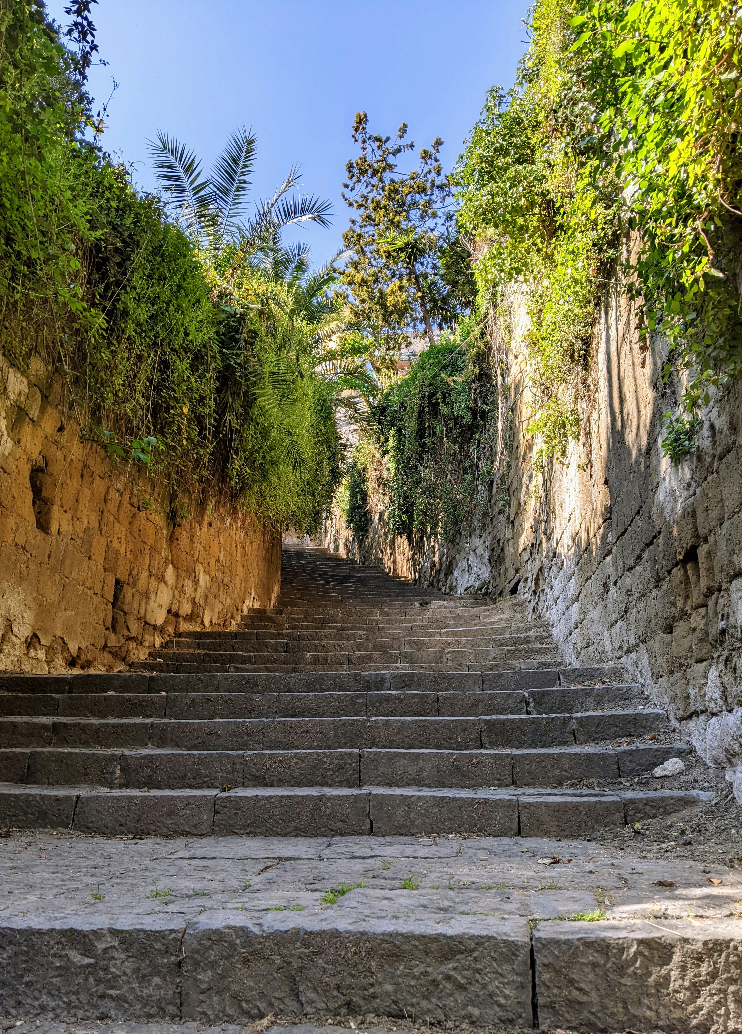 A set of stone steps going up a hill photo – Free Napoli Image on Unsplash