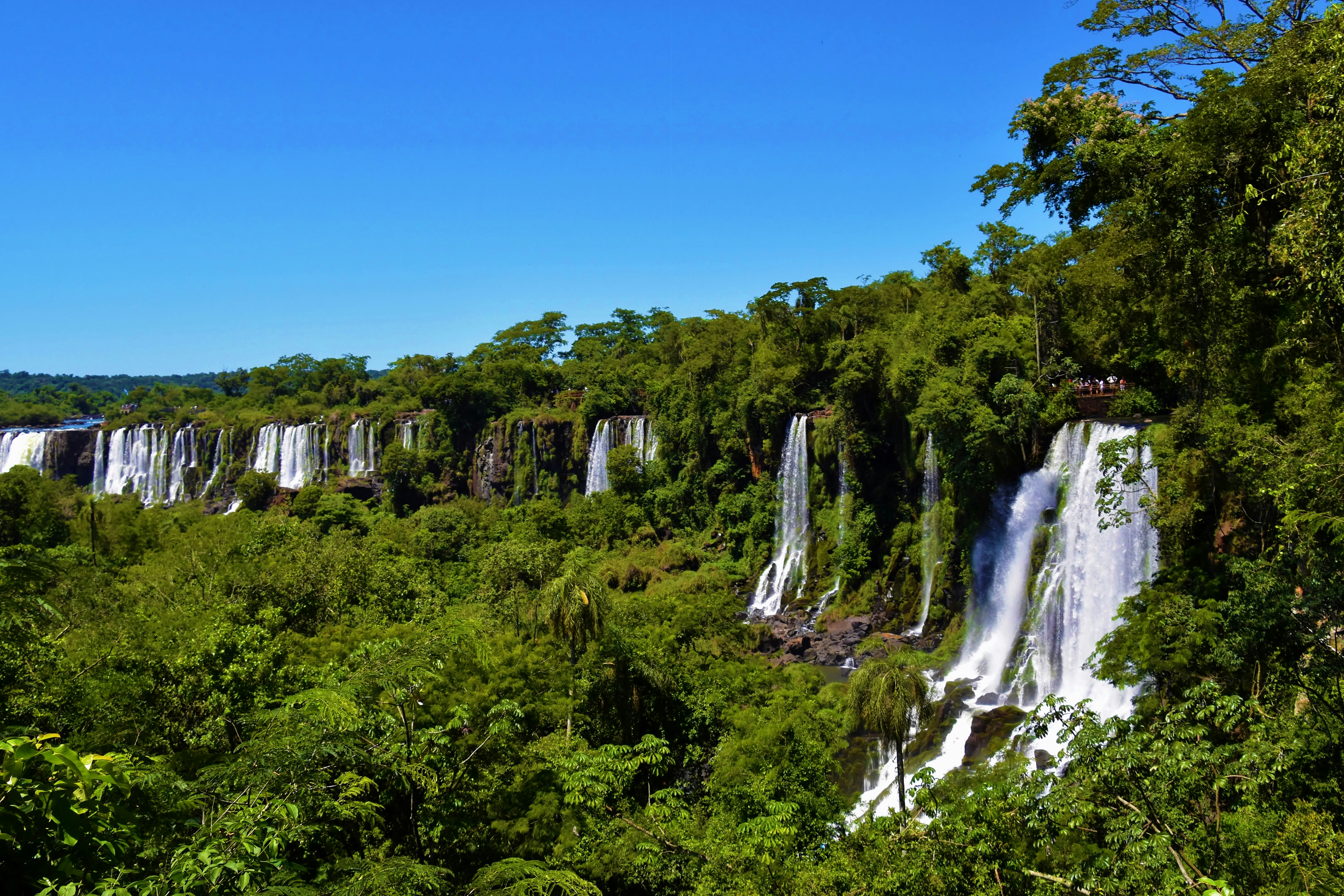 Verdant Cascades: Sunlit Veils Across a Jungle Panorama