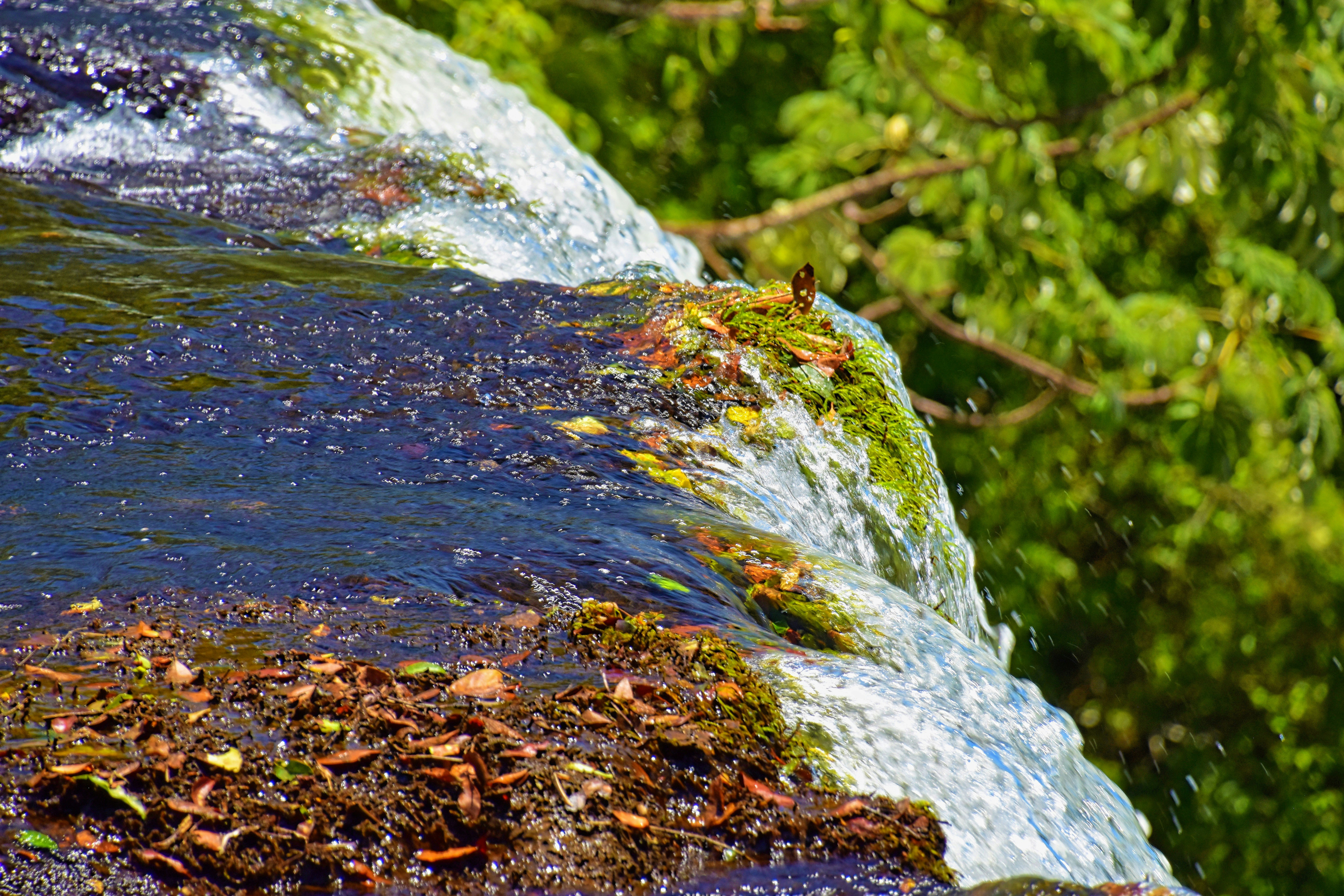 Leaf on a Mossy Edge as Water Weaves a Quiet Curtain