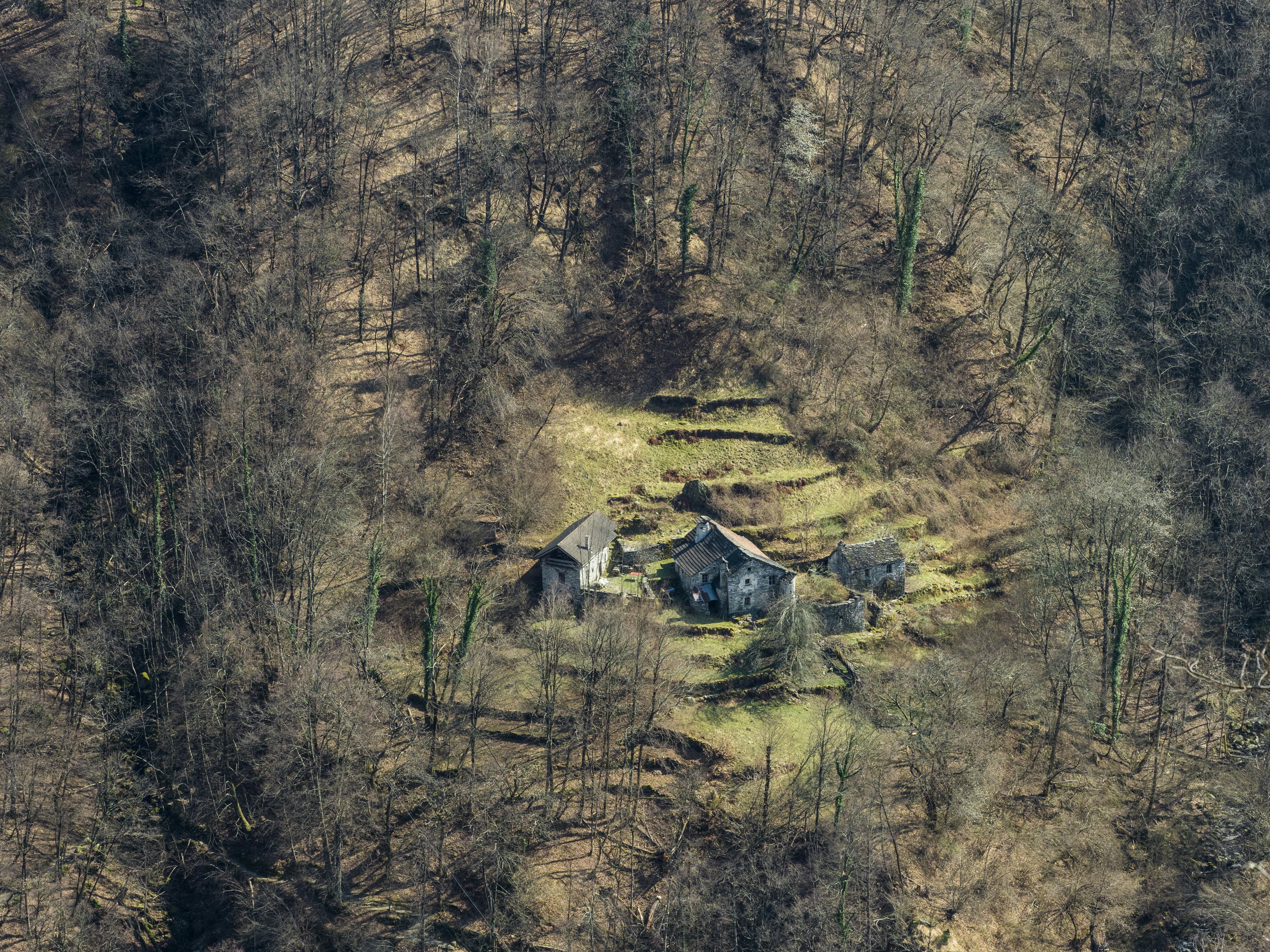 Sample photo from Olympus OM-D E-M5 Mark III