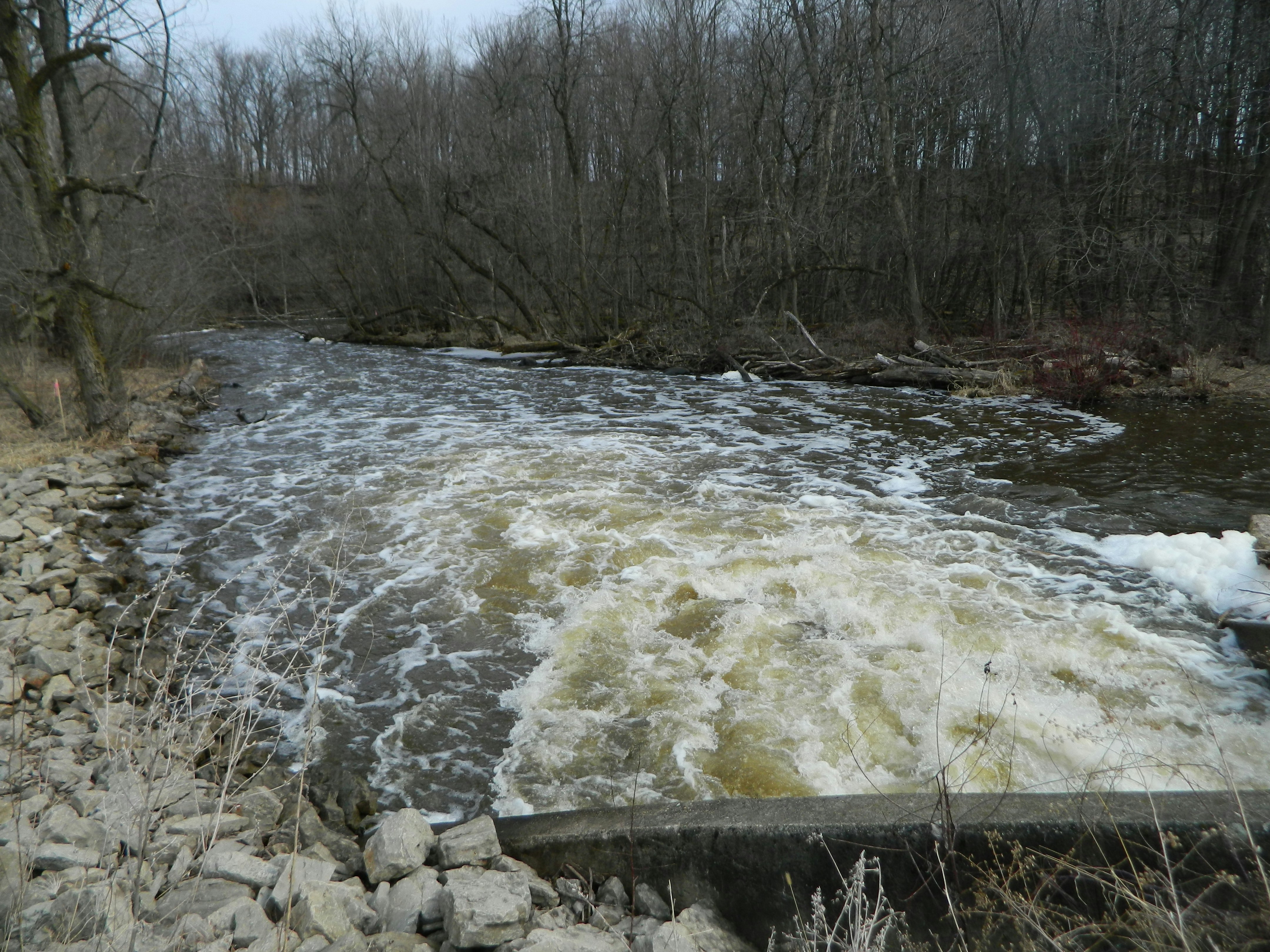 Foto zum Thema Ein Fluss, der durch einen Wald voller Felsen fließt ...