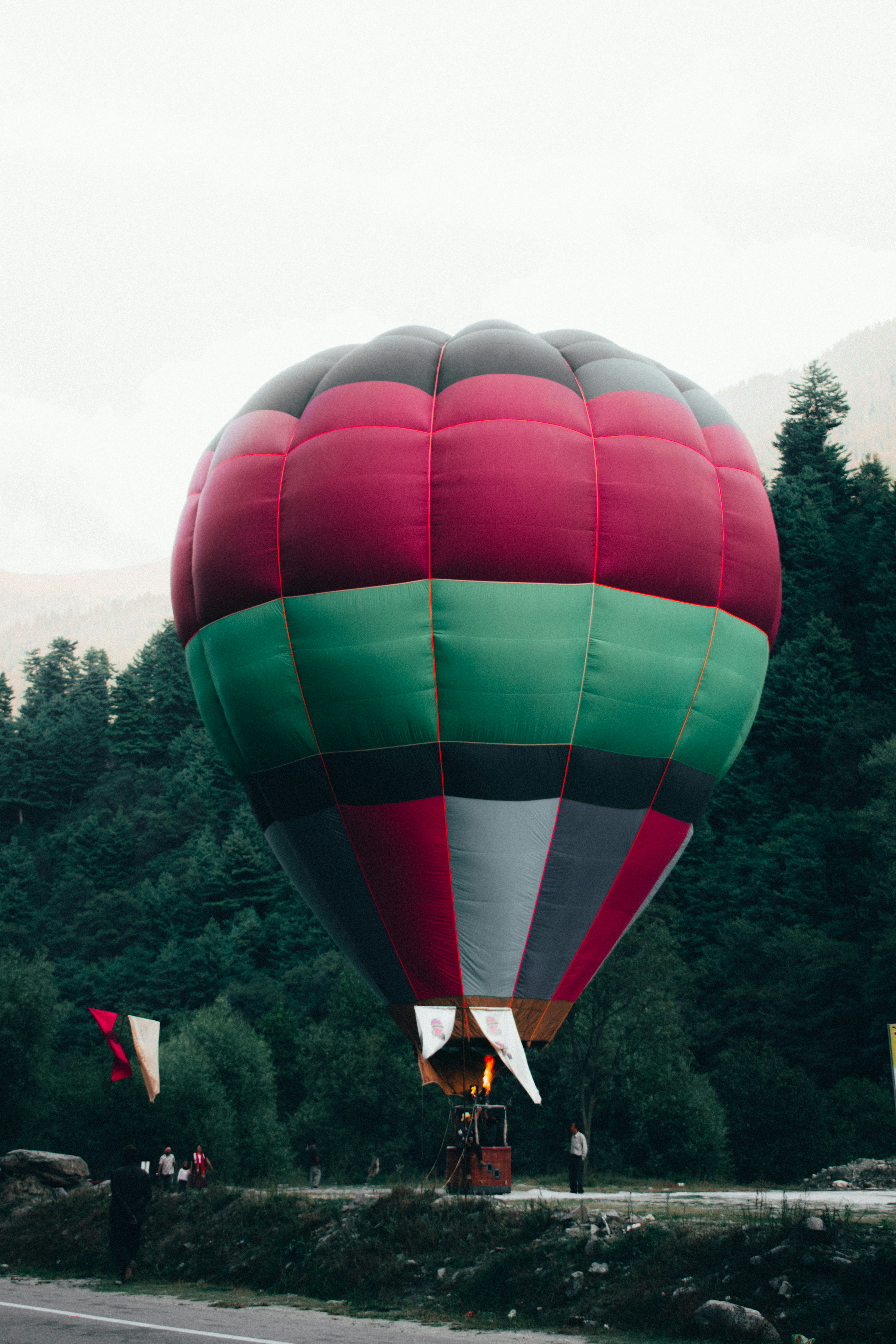 Crimson, Emerald, and Charcoal: A Hot Air Balloon Rises Over Pine Forest