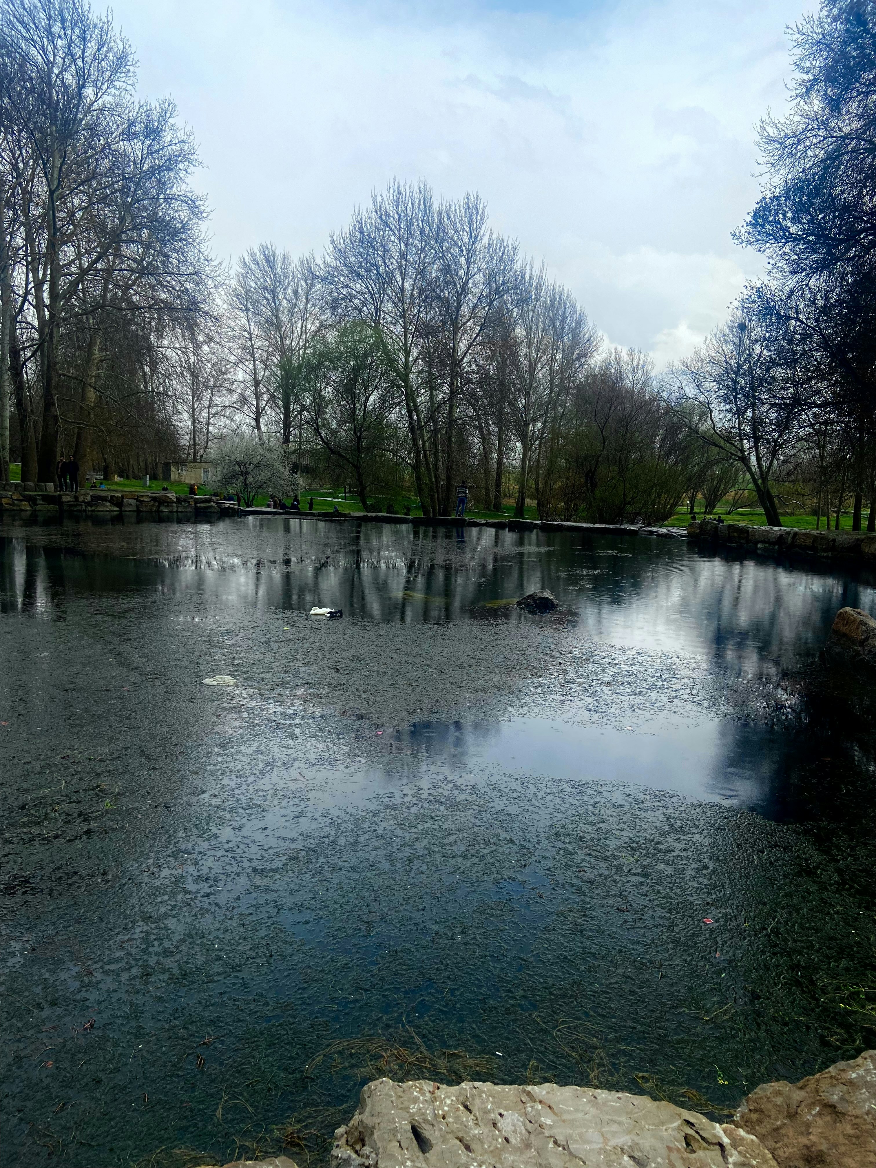 Still pond reflecting overcast sky and surrounding trees in a tranquil park setting.