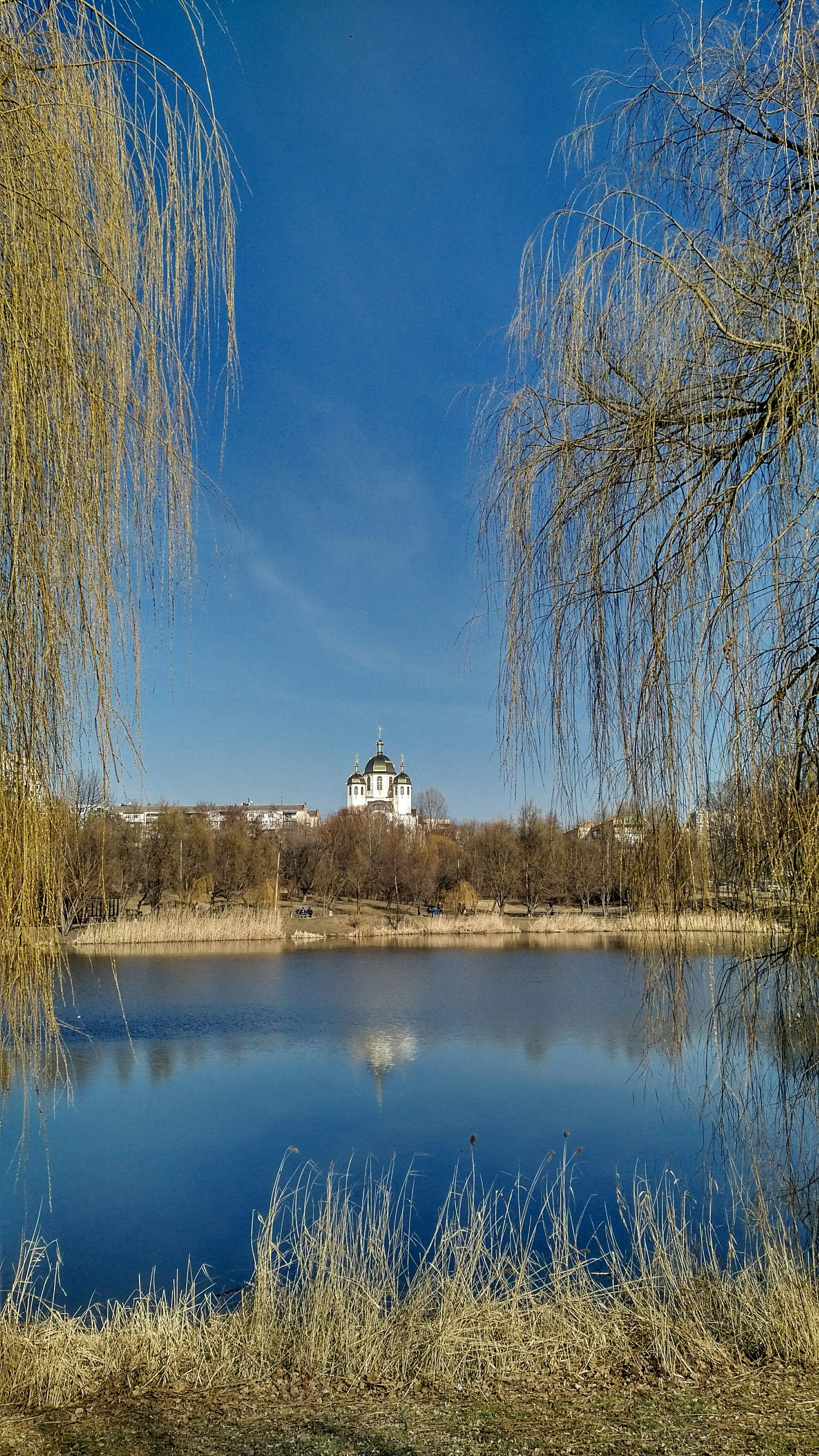 Willow branches frame a serene lake reflecting a historic building under a clear blue sky. The scene captures the peaceful coexistence of nature and architecture.