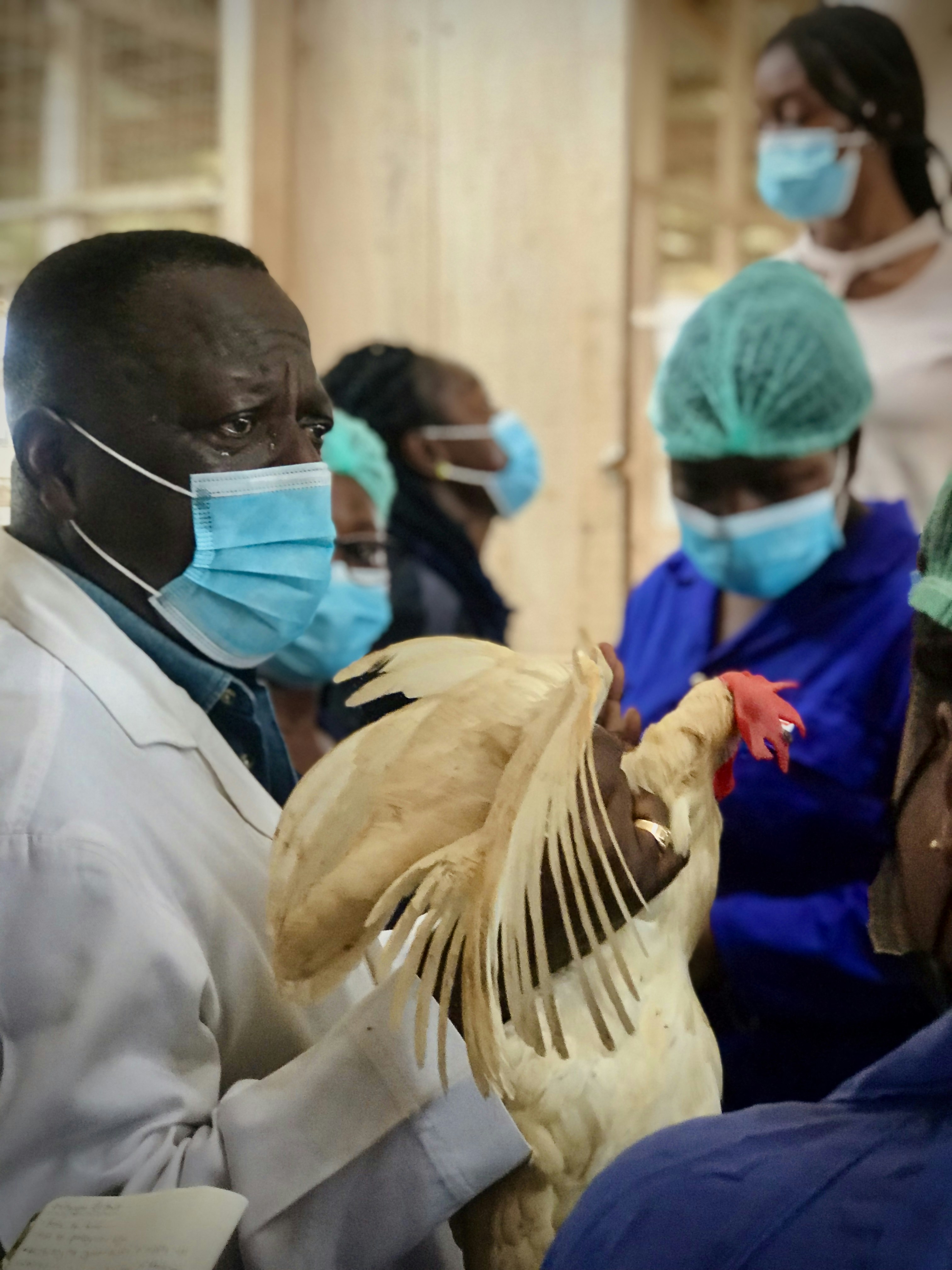 Navrongo, Ghana - all you need to know