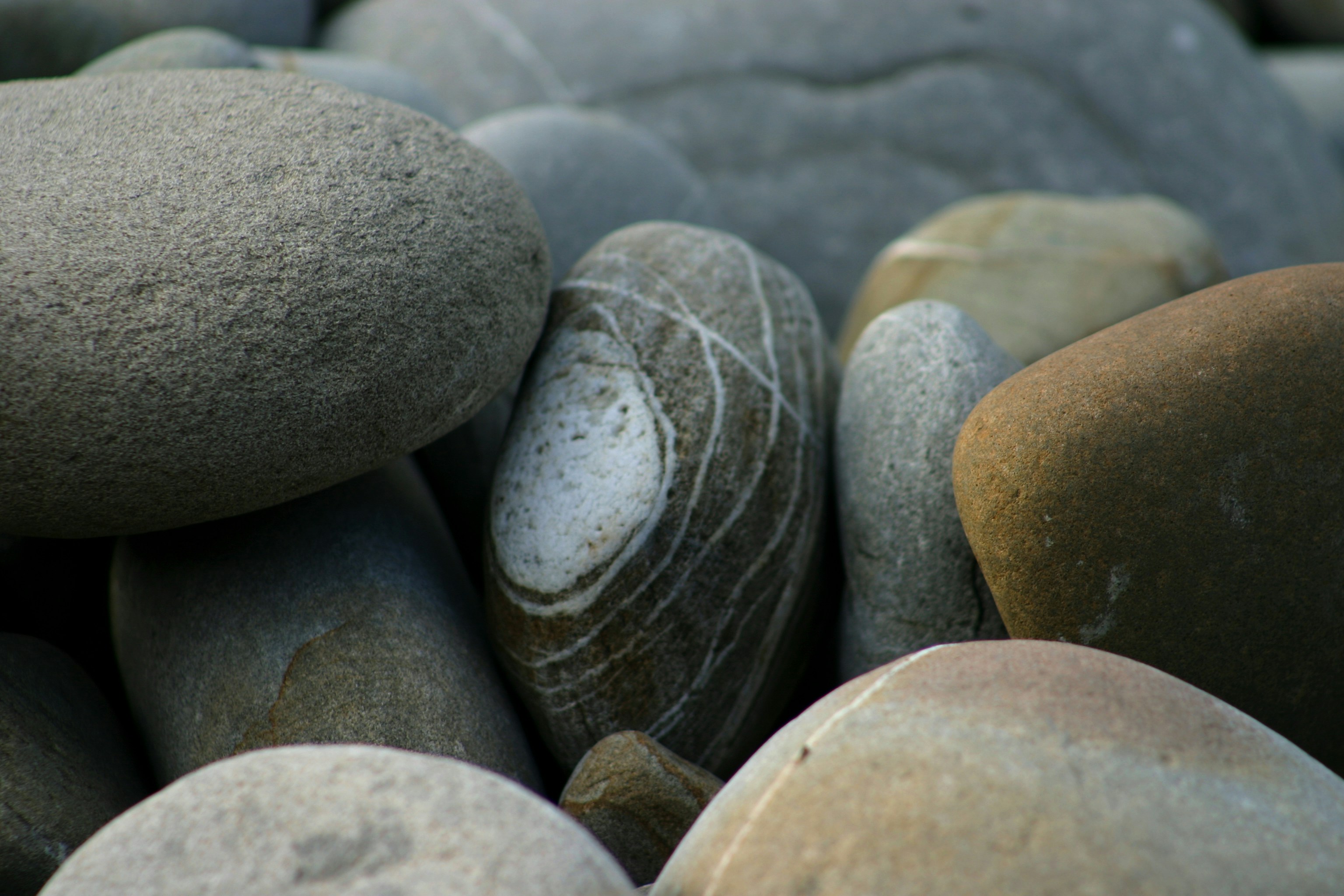 A bunch of rocks that are sitting on the ground photo – Free Grey Image ...