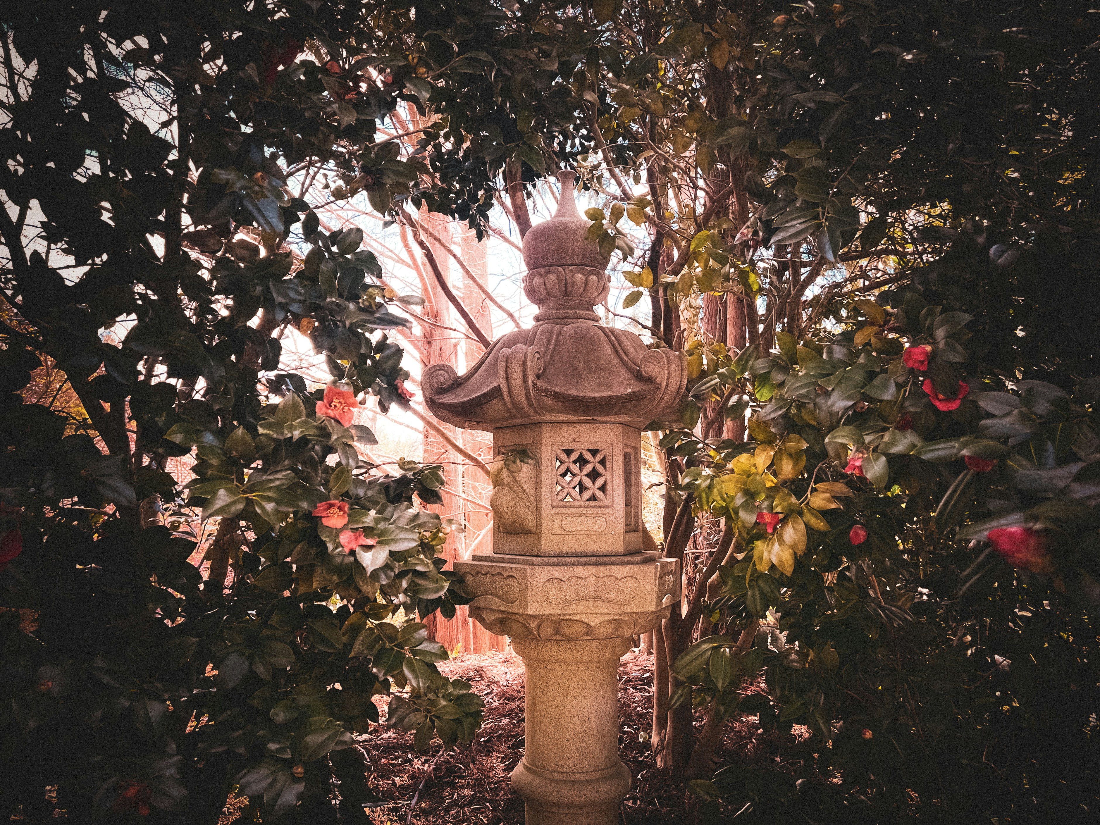 Traditional stone lantern nestled among lush greenery, surrounded by vibrant flowers and soft light filtering through the leaves.