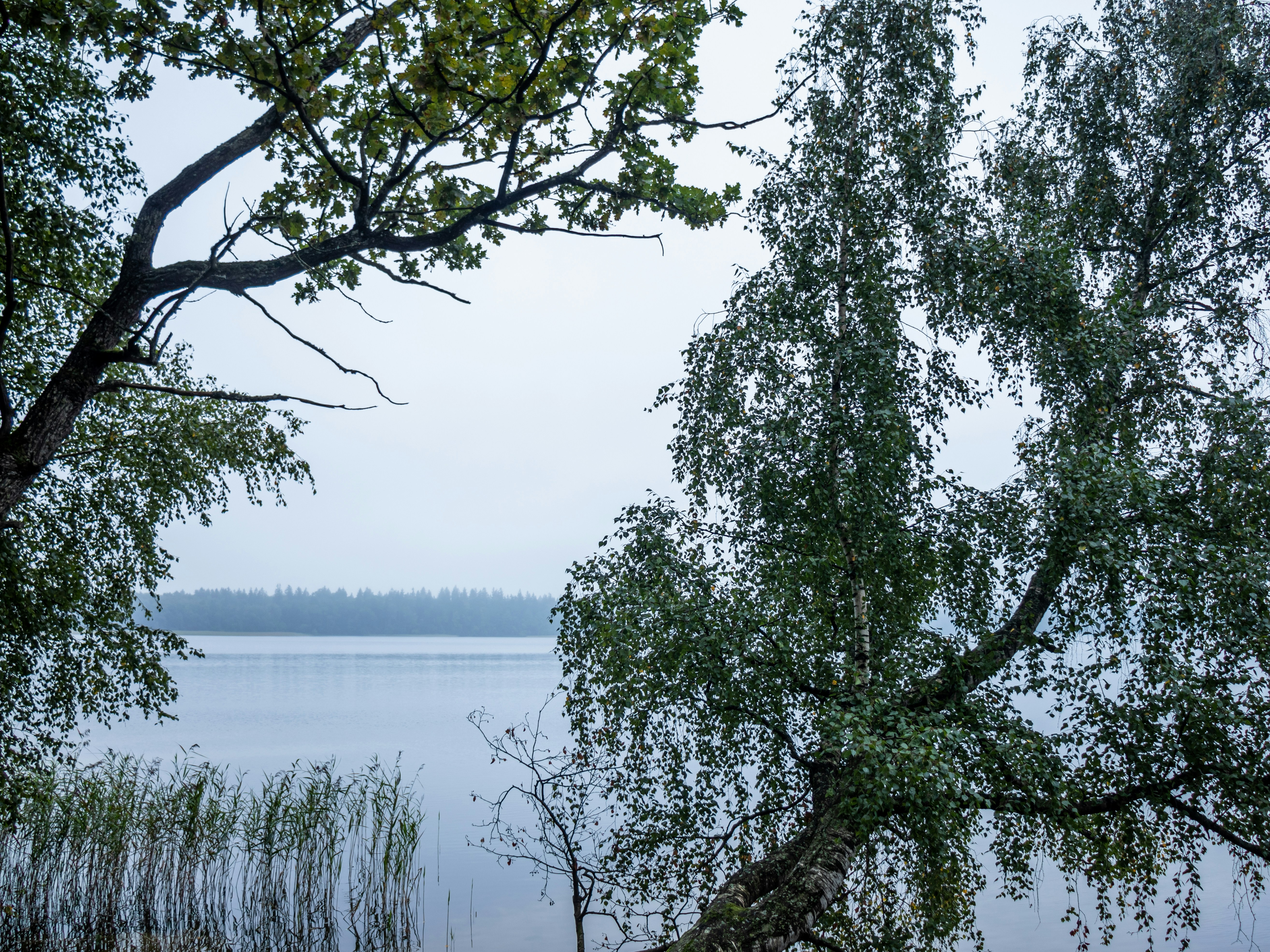 Reflections at the Quiet Lake
