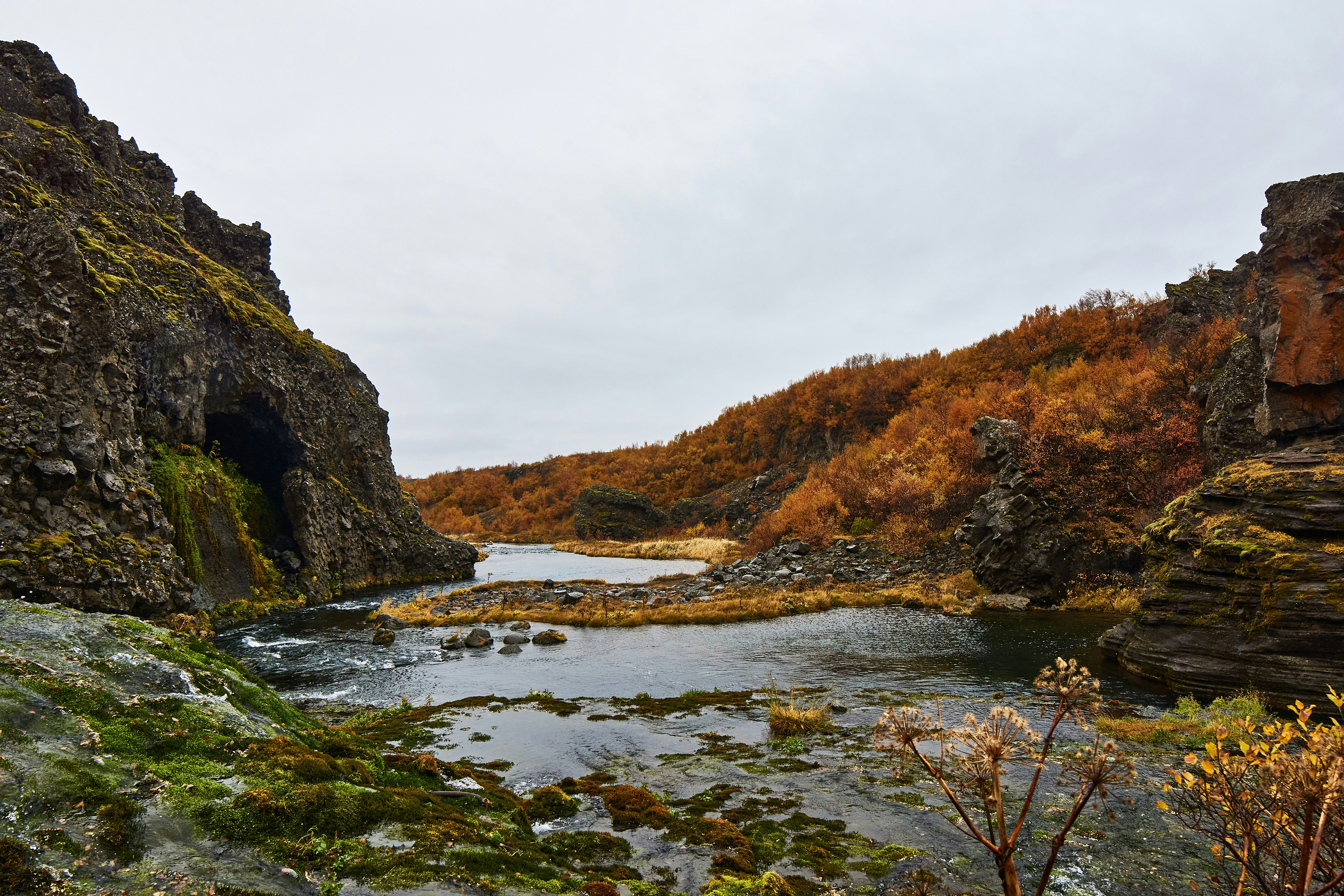 A serene landscape featuring moss-covered rocks and a gently flowing stream, framed by autumn foliage in warm hues. The cloudy sky adds a tranquil atmosphere.